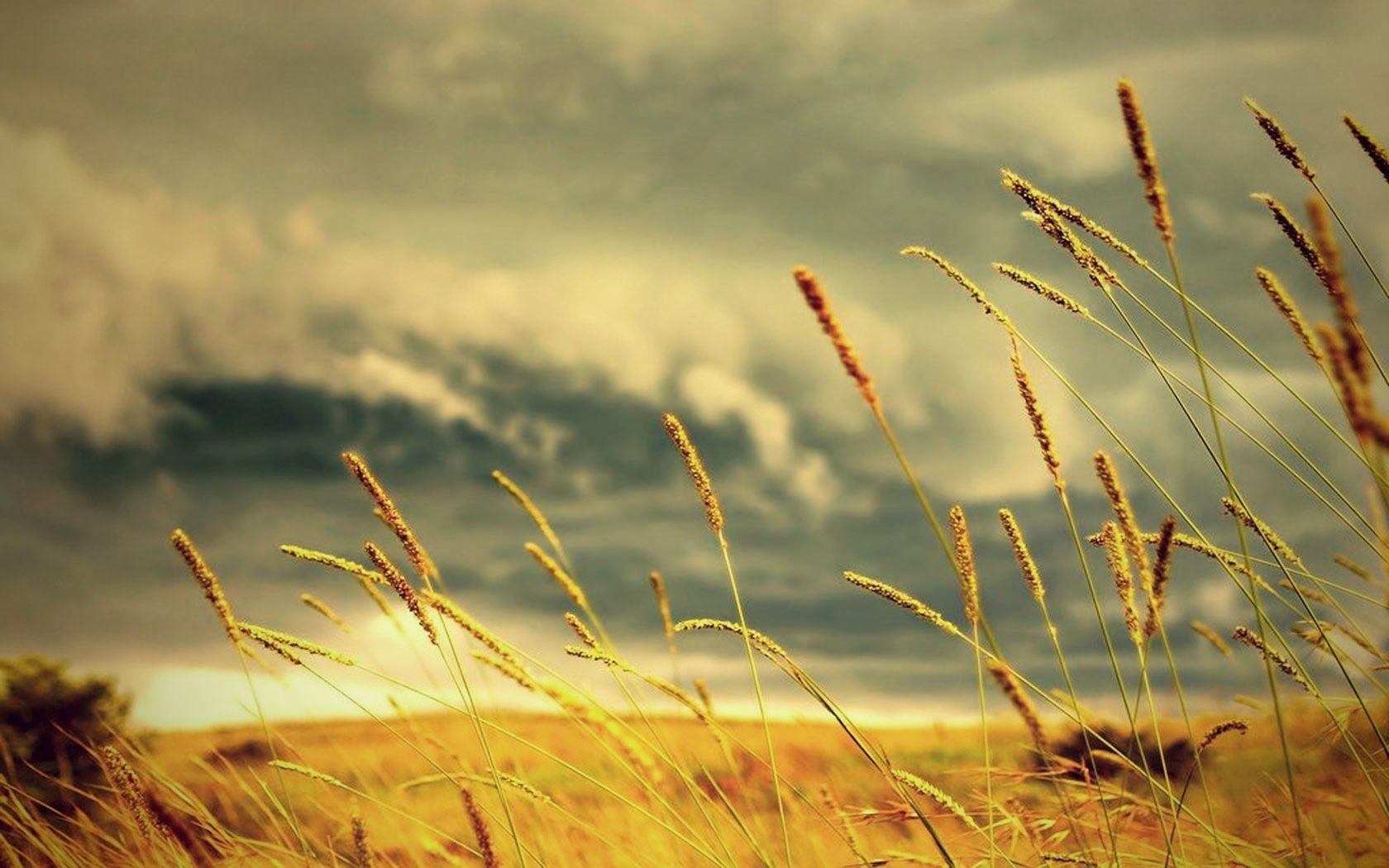 Simple Vintage Desktop Wallpapers - Top Free Simple Vintage Desktop ...