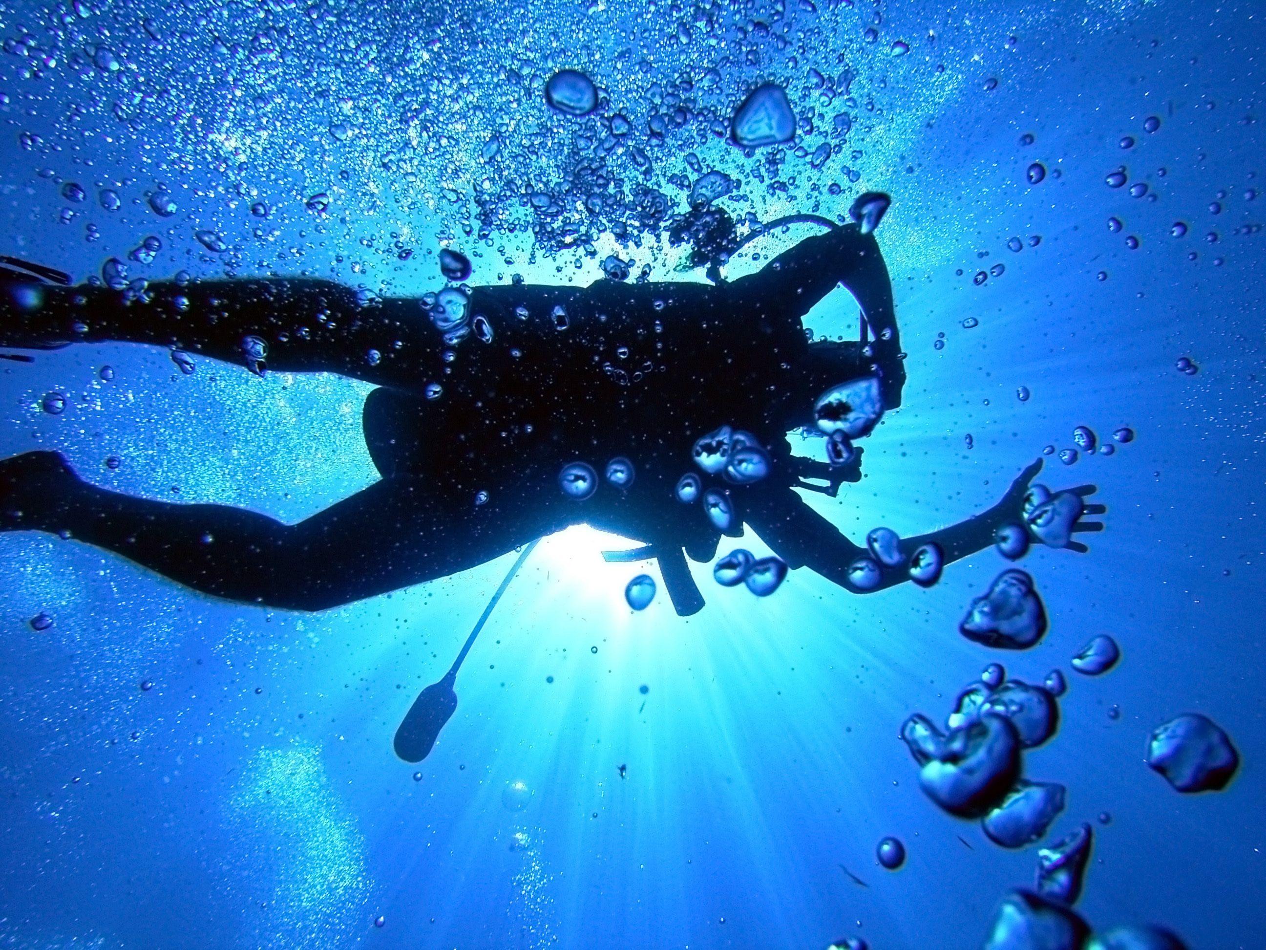 Diving Wallpapers - Top Free Diving Backgrounds - WallpaperAccess