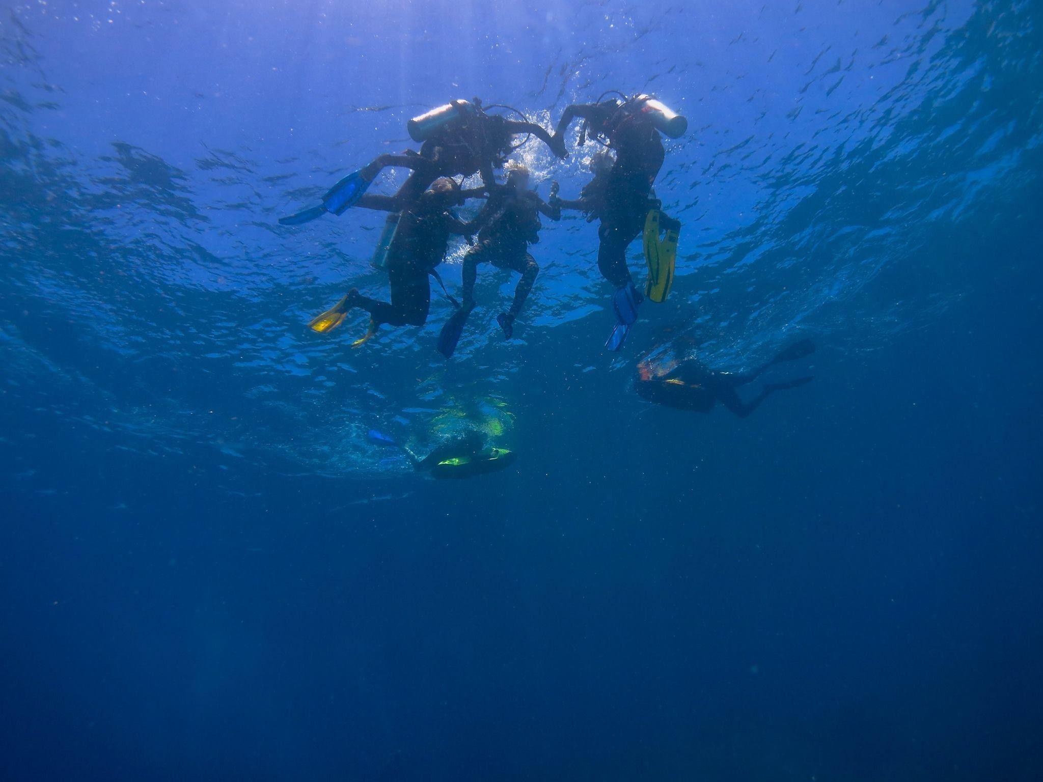 Scuba Diving Wallpapers - Top Free Scuba Diving Backgrounds ...