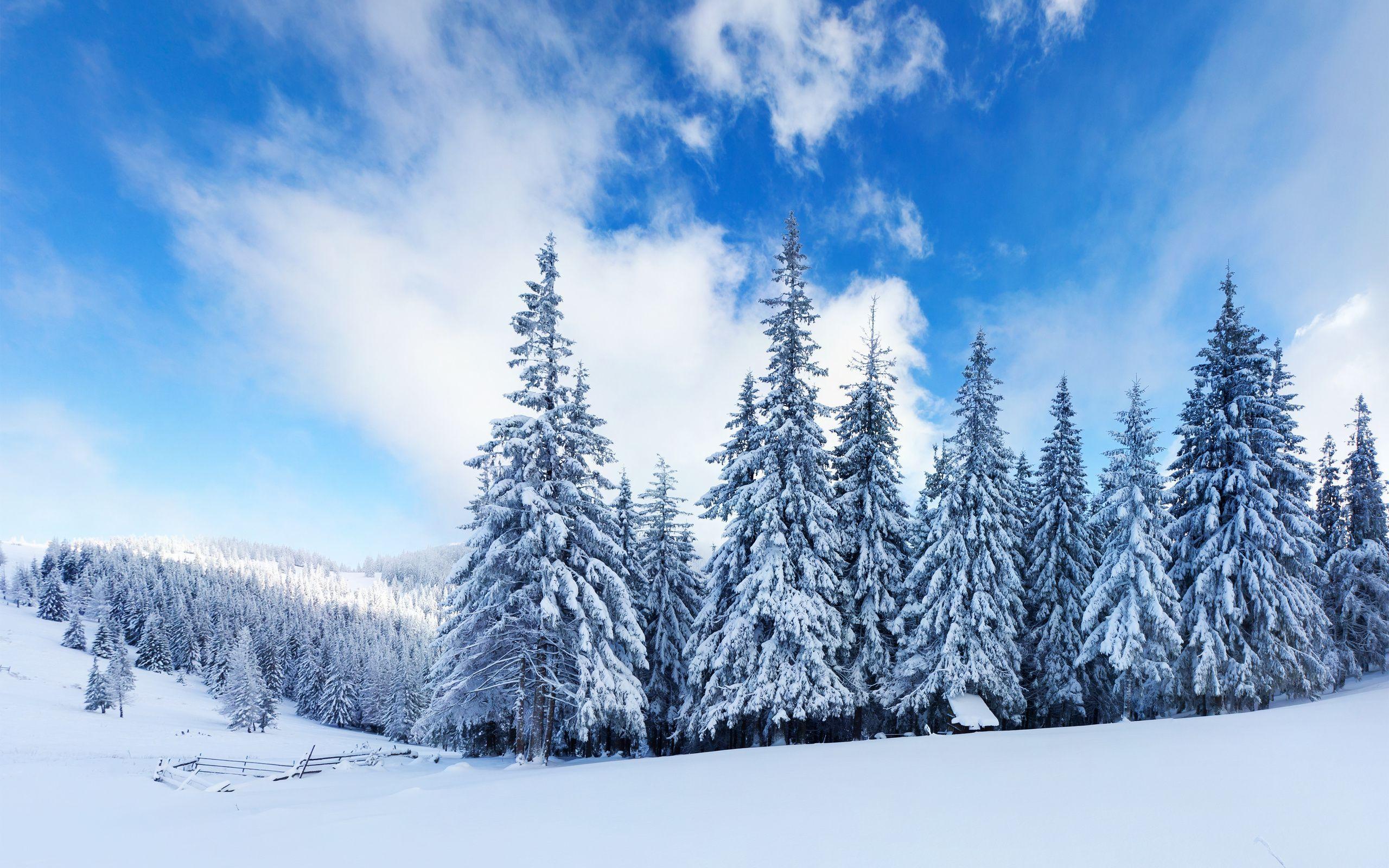 Peaceful Winter Wallpapers - Top Free Peaceful Winter Backgrounds ...