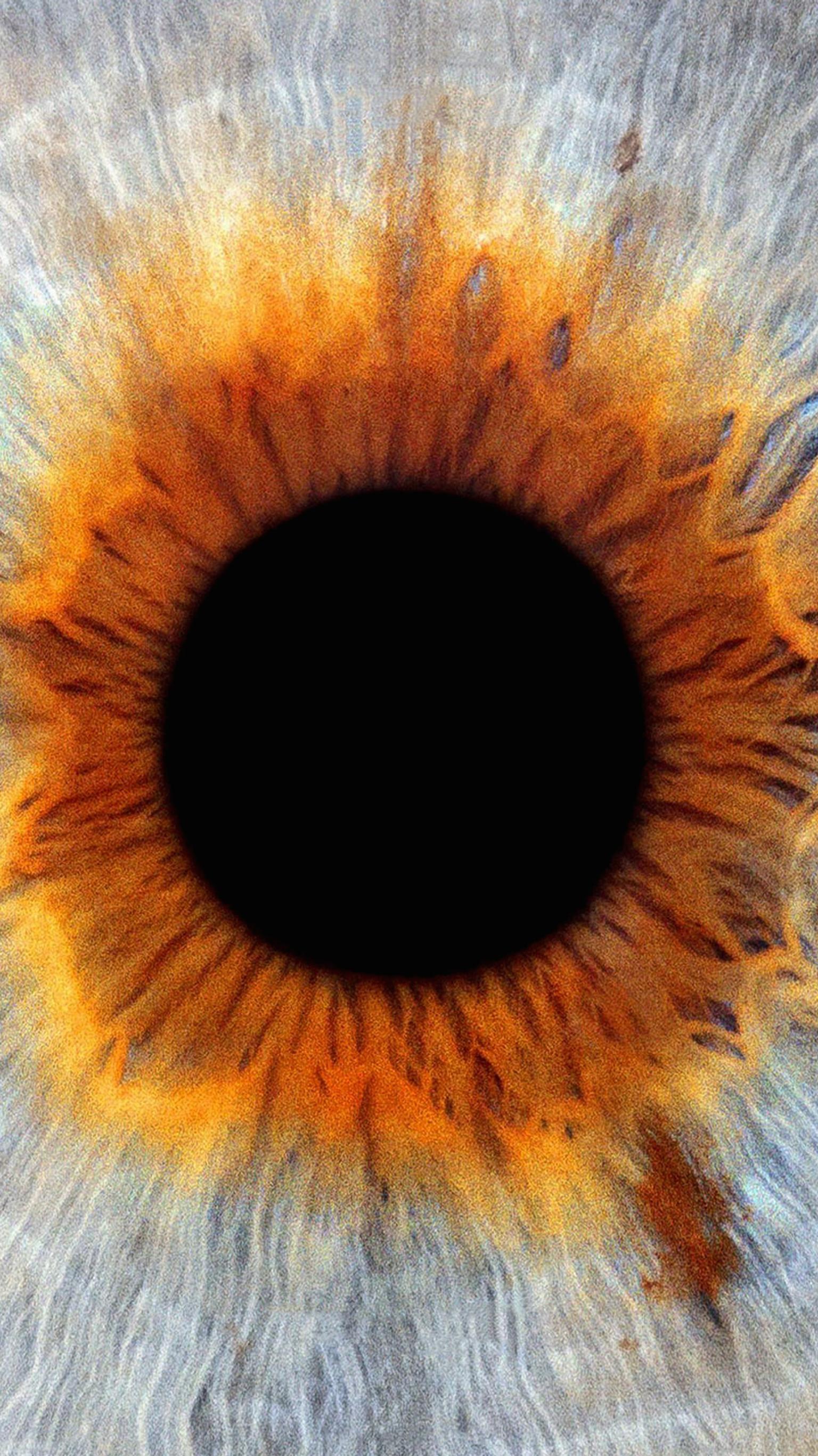 Eye Phone Wallpapers - Top Free Eye Phone Backgrounds - WallpaperAccess