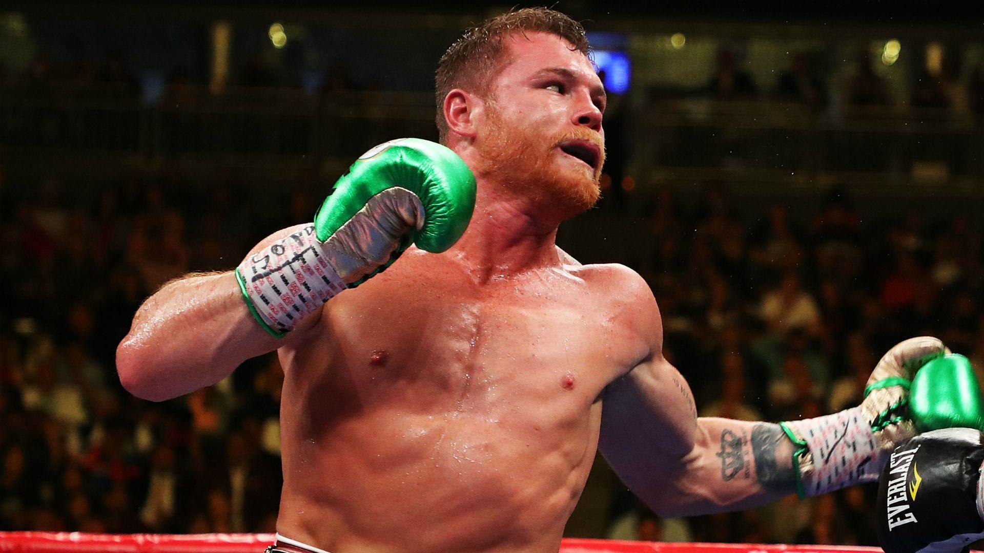 Canelo Alvarez Wallpapers - Top Free Canelo Alvarez Backgrounds ... Canelo Alvarez Wallpapers - Top Free Canelo Alvarez Backgrounds ...