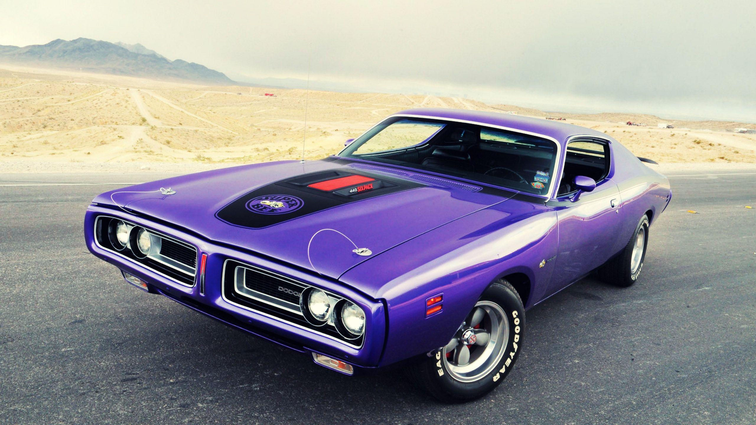Dodge Muscle Car Wallpapers - Top Free Dodge Muscle Car Backgrounds - WallpaperAccess