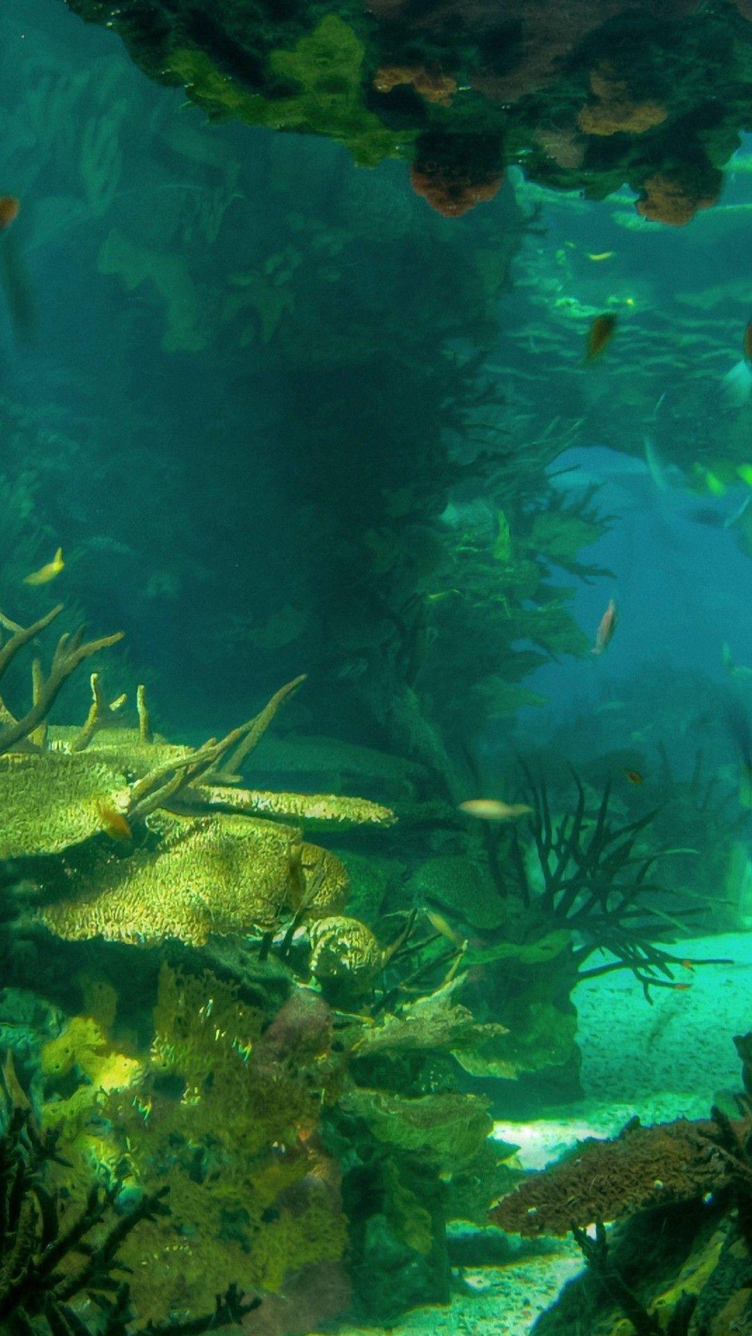 Deep Ocean Wallpapers - Top Free Deep Ocean Backgrounds - WallpaperAccess