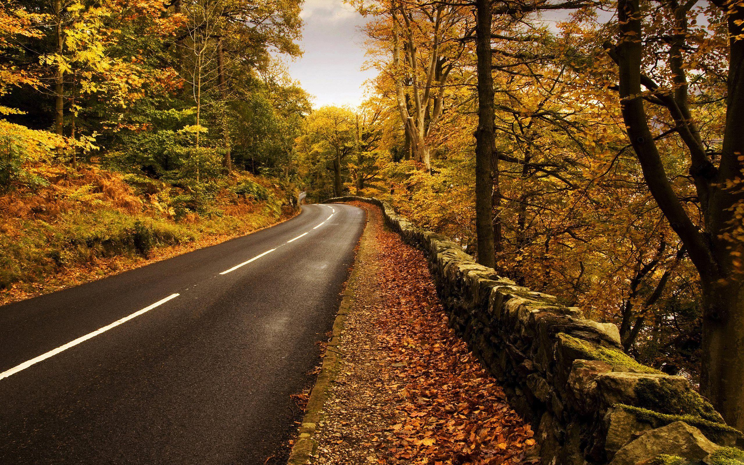 Beautiful Roads Wallpapers - Top Free Beautiful Roads Backgrounds ...
