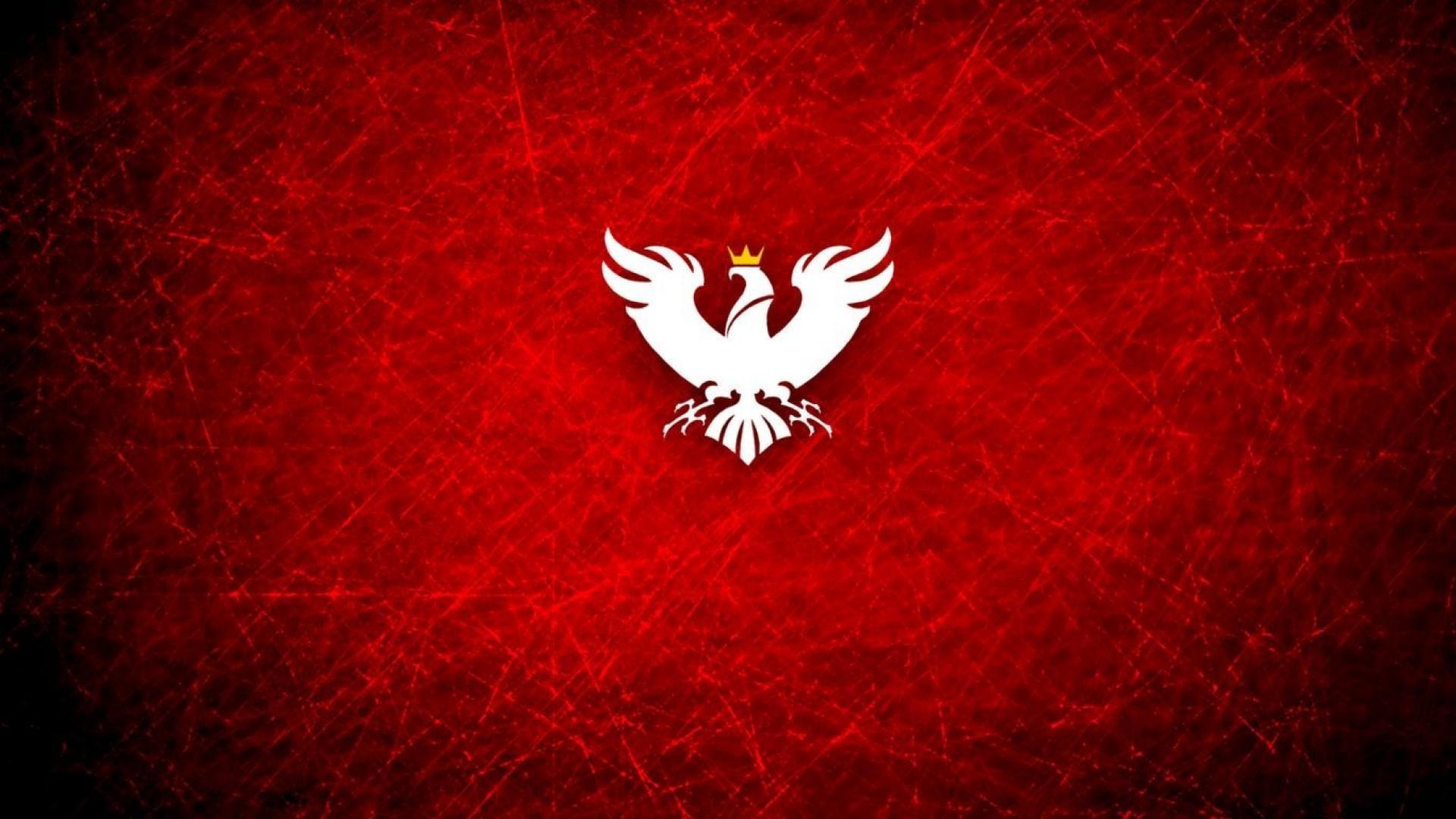 Polish Wallpapers - Top Free Polish Backgrounds - WallpaperAccess