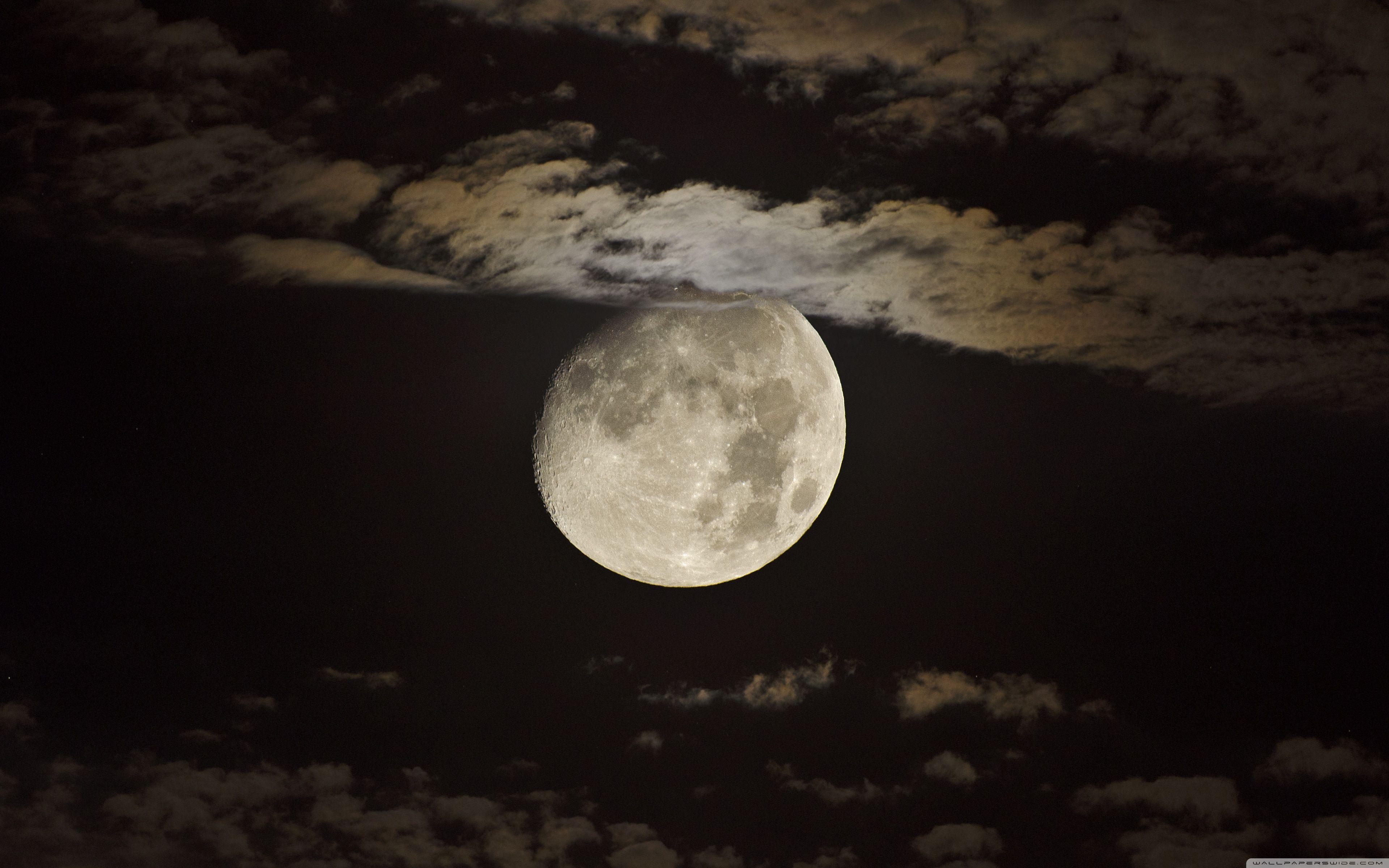 Midnight Wallpapers - Top Free Midnight Backgrounds - WallpaperAccess