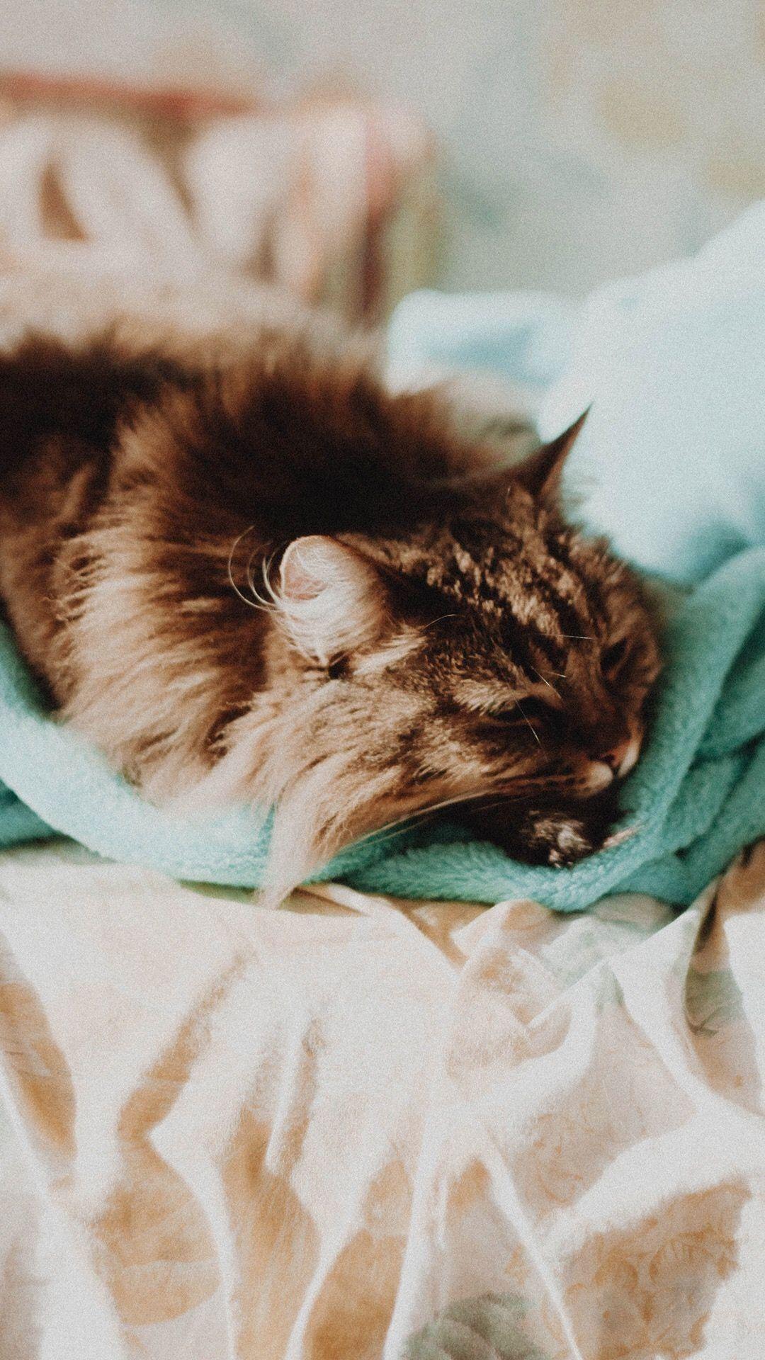 Sleep Phone Wallpapers - Top Free Sleep Phone Backgrounds - WallpaperAccess