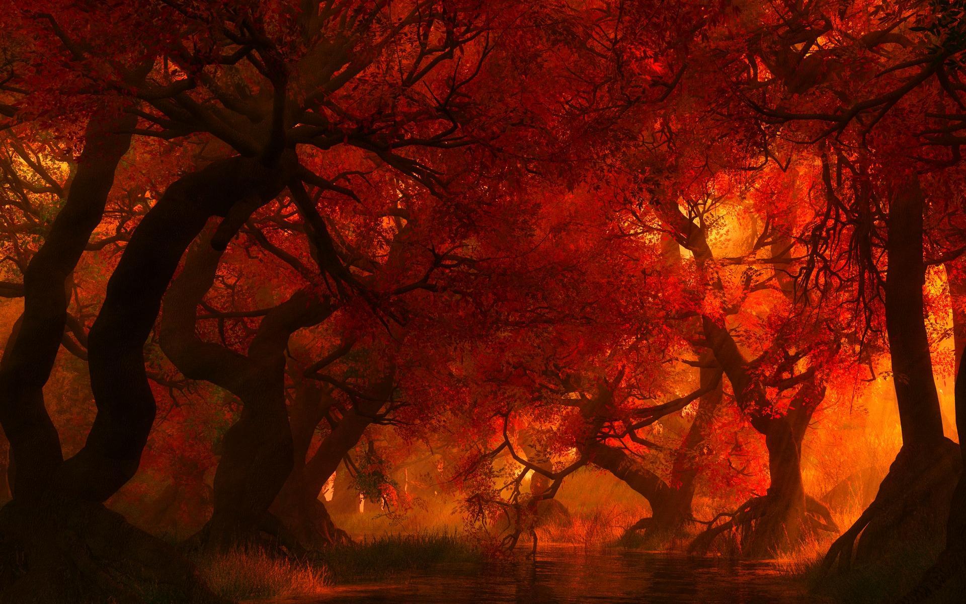 Forest Fire Wallpapers - Top Free Forest Fire Backgrounds - WallpaperAccess
