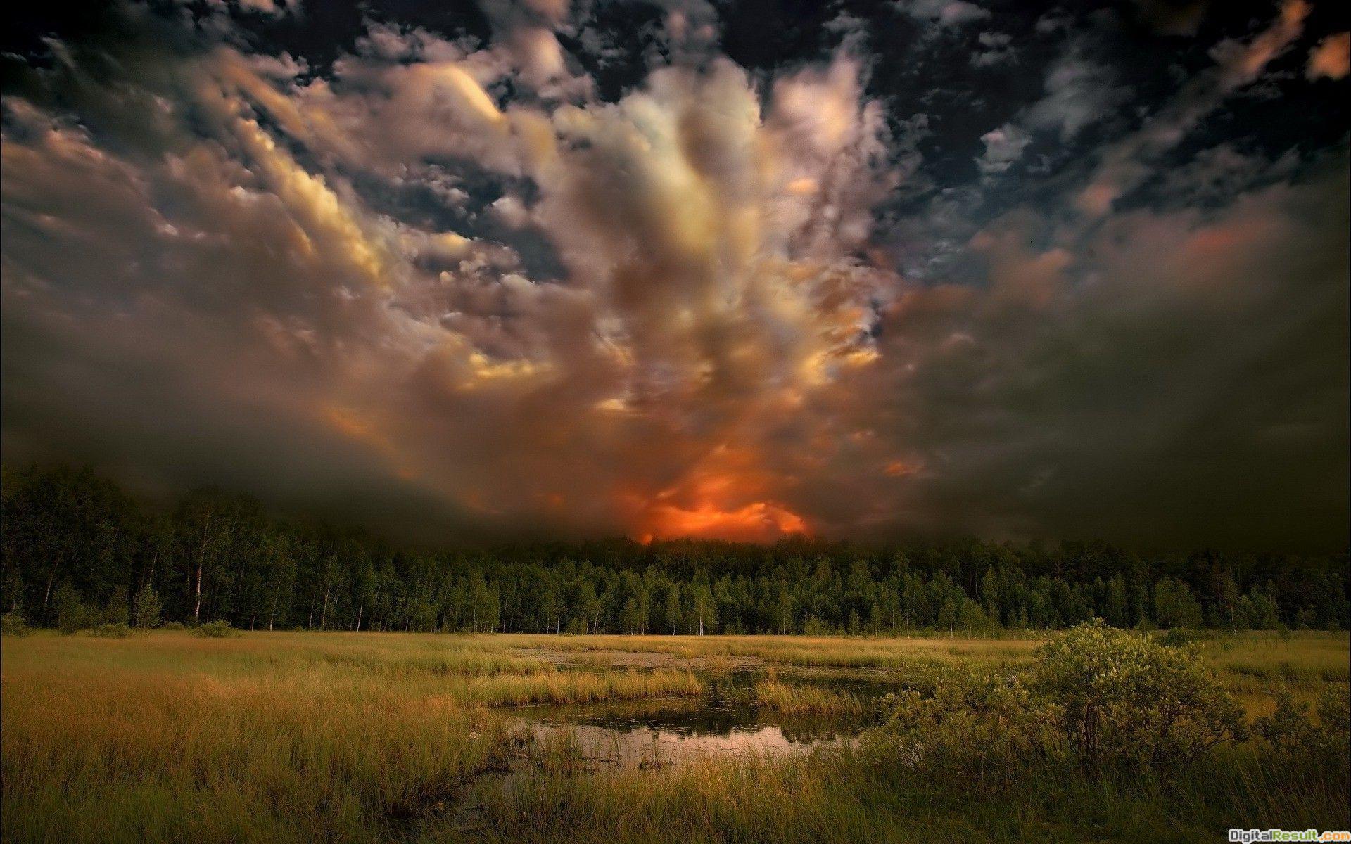 Forest Fire Wallpapers - Top Free Forest Fire Backgrounds - WallpaperAccess