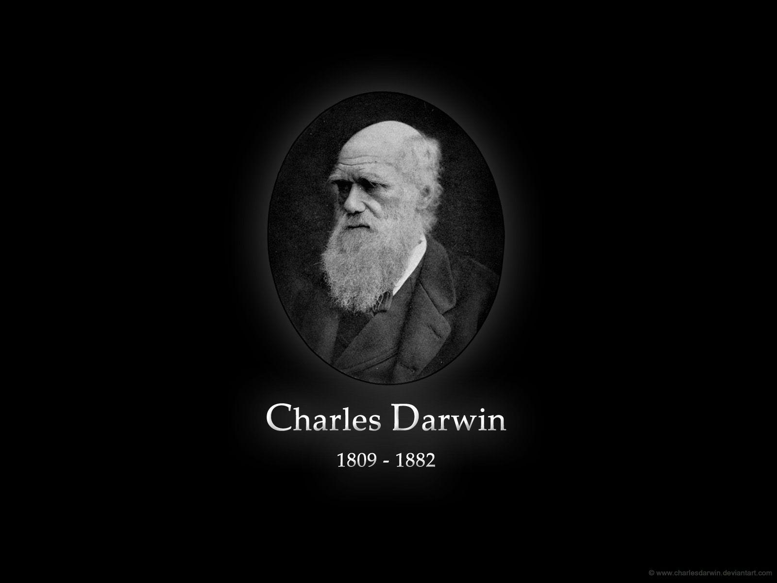 Charles Darwin Wallpapers - Top Free Charles Darwin Backgrounds ...