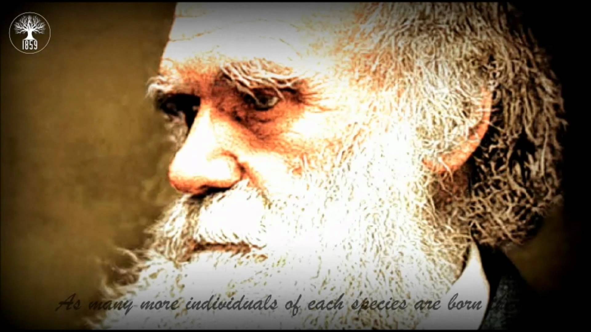 Charles Darwin Wallpapers - Top Free Charles Darwin Backgrounds ...