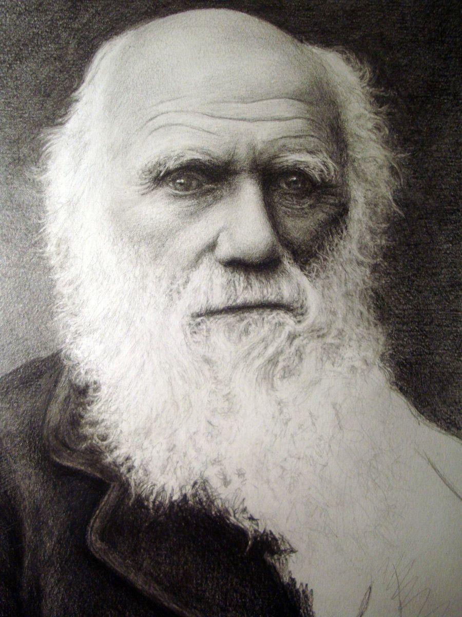 Charles Darwin Wallpapers - Top Free Charles Darwin Backgrounds ...