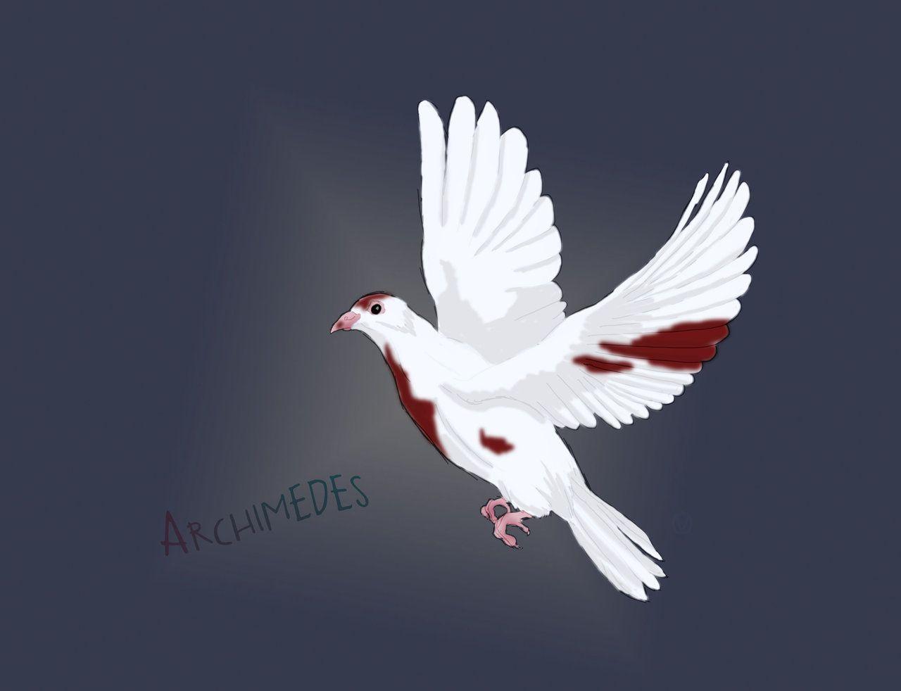 Archimedes Wallpapers - Top Free Archimedes Backgrounds - WallpaperAccess