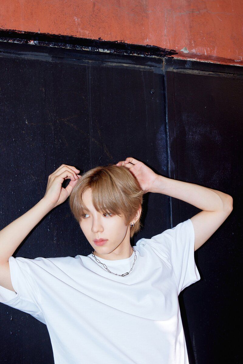 Shotaro Wallpapers - Top Free Shotaro Backgrounds - WallpaperAccess