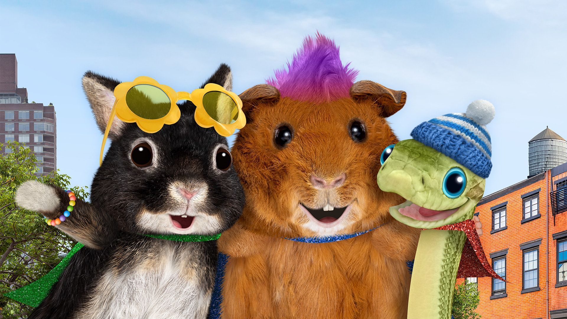 Wonder Pets! Wallpapers - Top Free Wonder Pets! Backgrounds ...
