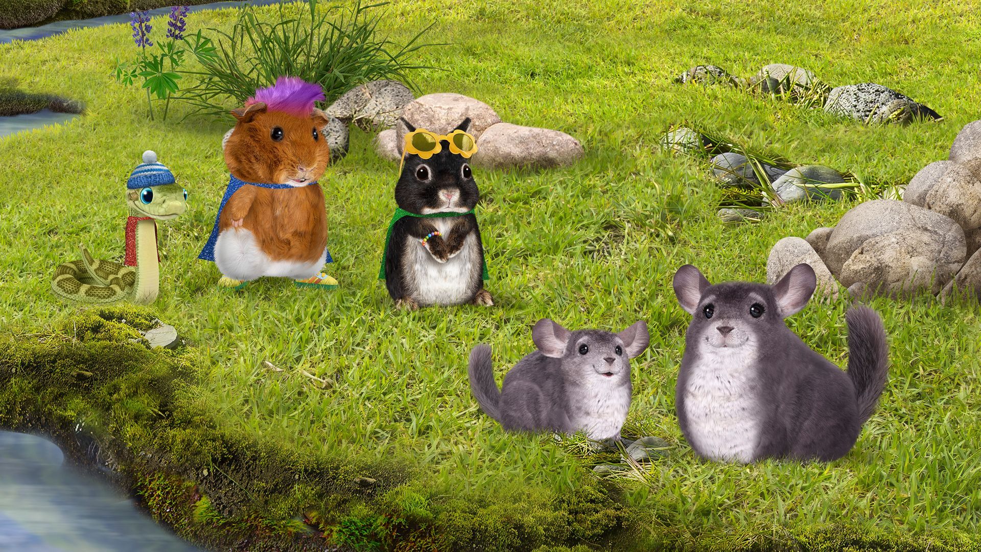 Wonder Pets! Wallpapers - Top Free Wonder Pets! Backgrounds ...