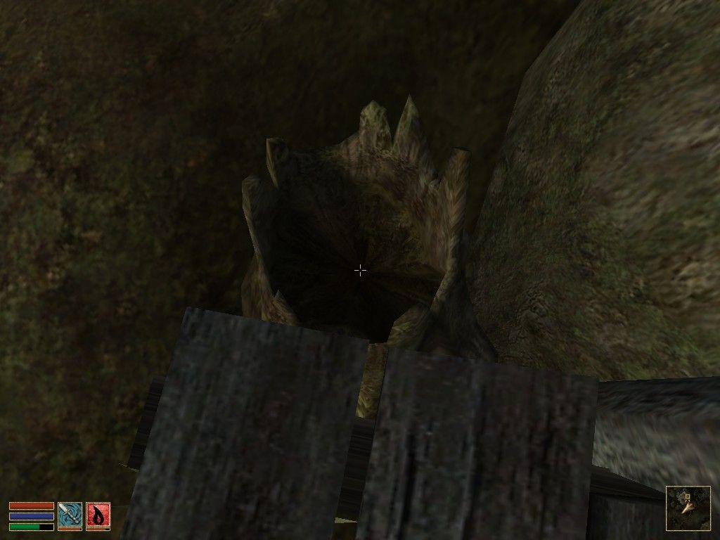 Fargoth Wallpapers - Top Free Fargoth Backgrounds - WallpaperAccess