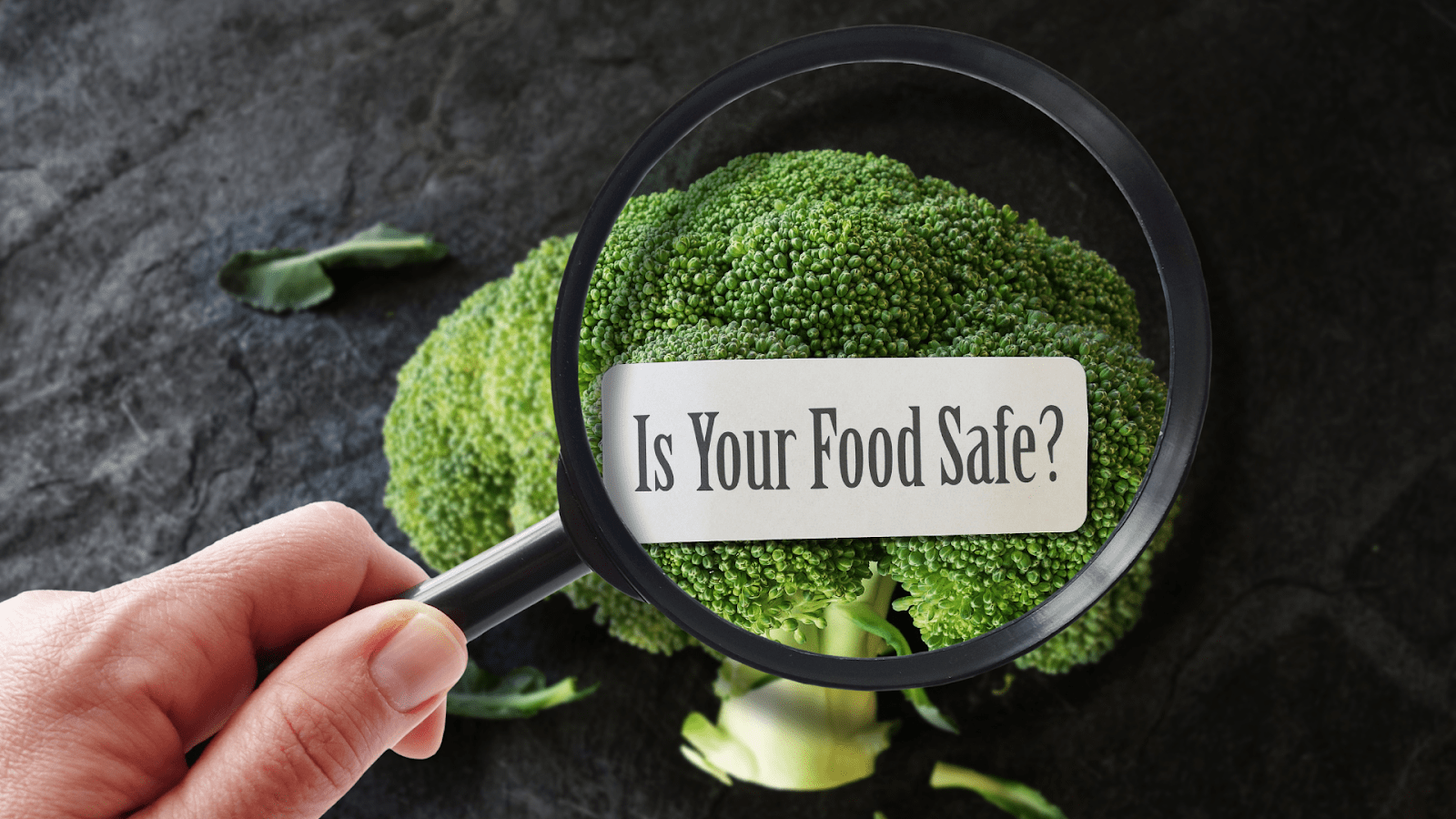 Food Safety Wallpapers - Top Free Food Safety Backgrounds - WallpaperAccess