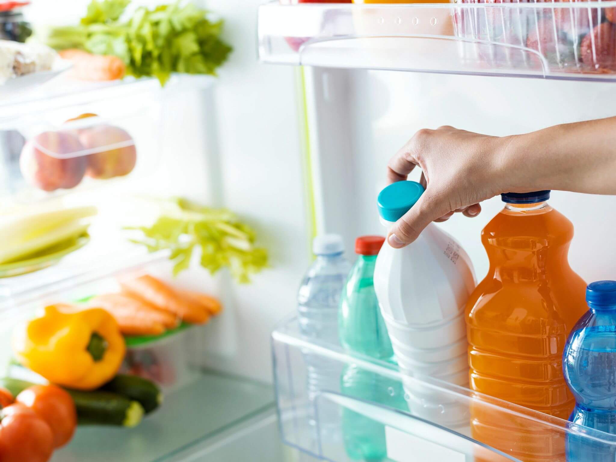 Food Safety Wallpapers - Top Free Food Safety Backgrounds - WallpaperAccess