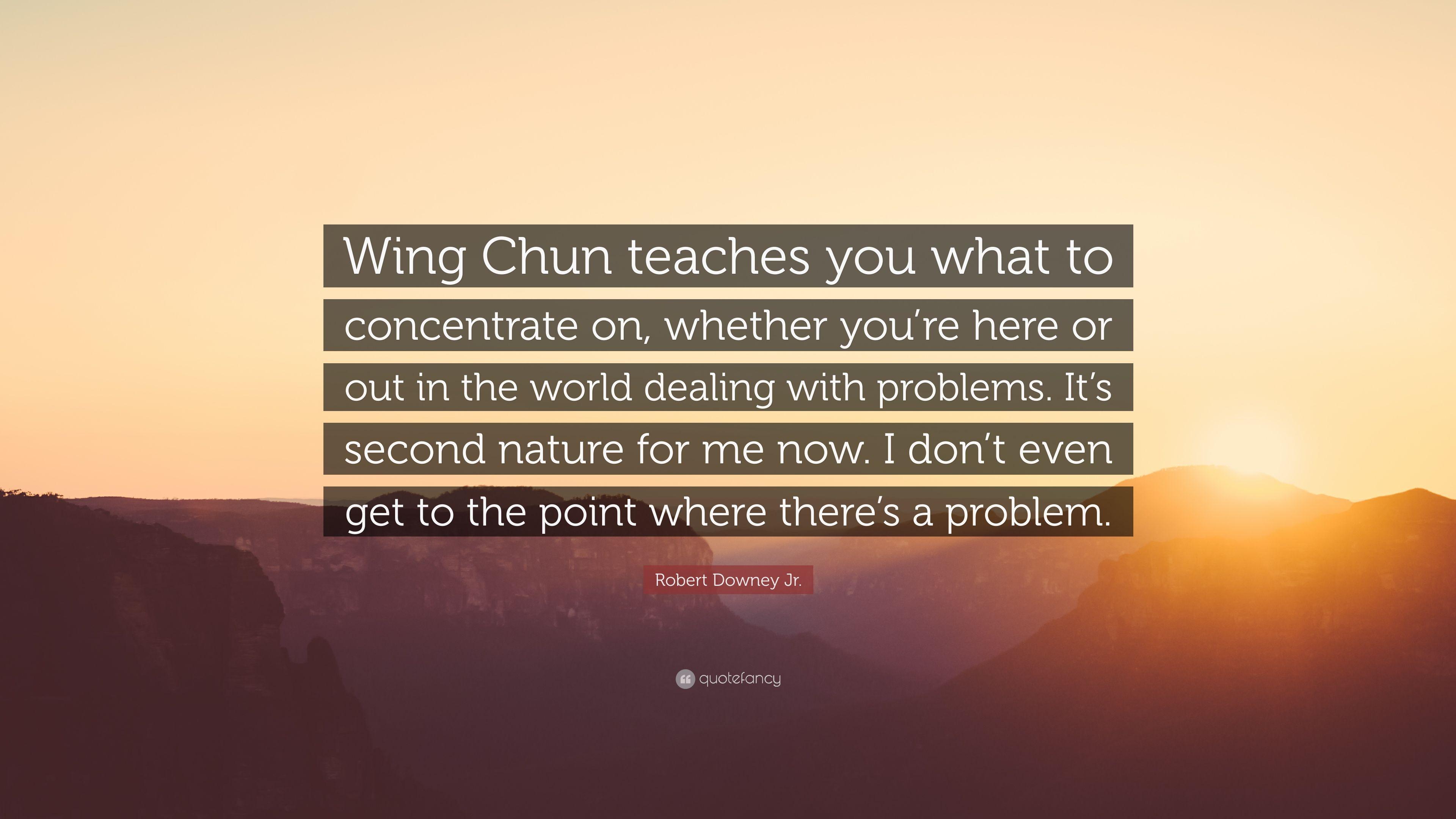 Wing Chun Wallpapers - Top Free Wing Chun Backgrounds - WallpaperAccess