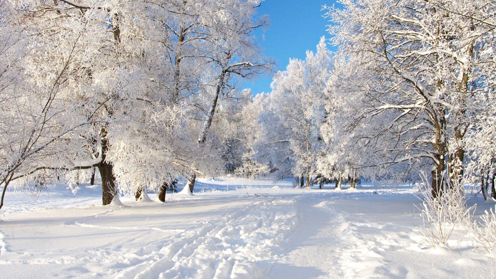Cool Snowy Wallpapers - Top Free Cool Snowy Backgrounds - WallpaperAccess