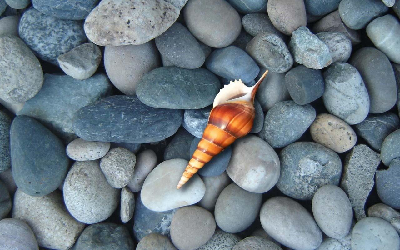 Pebbles Wallpapers - Top Free Pebbles Backgrounds - WallpaperAccess