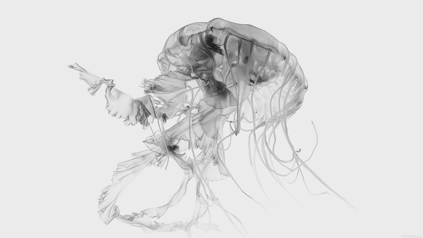 White Art Desktop Wallpapers - Top Free White Art Desktop Backgrounds ...