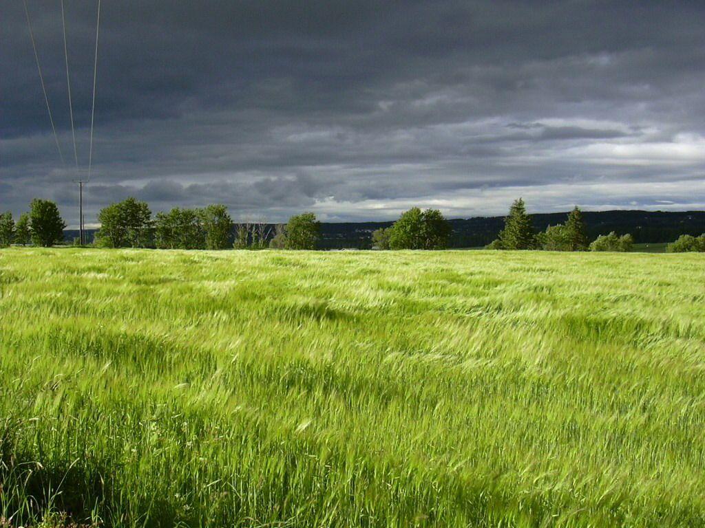 Land Wallpapers - Top Free Land Backgrounds - WallpaperAccess