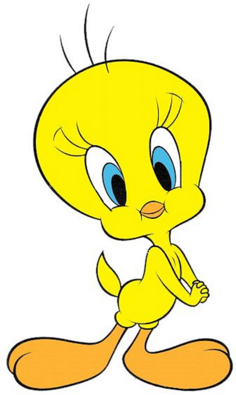 Tweety Wallpapers - Top Free Tweety Backgrounds - WallpaperAccess