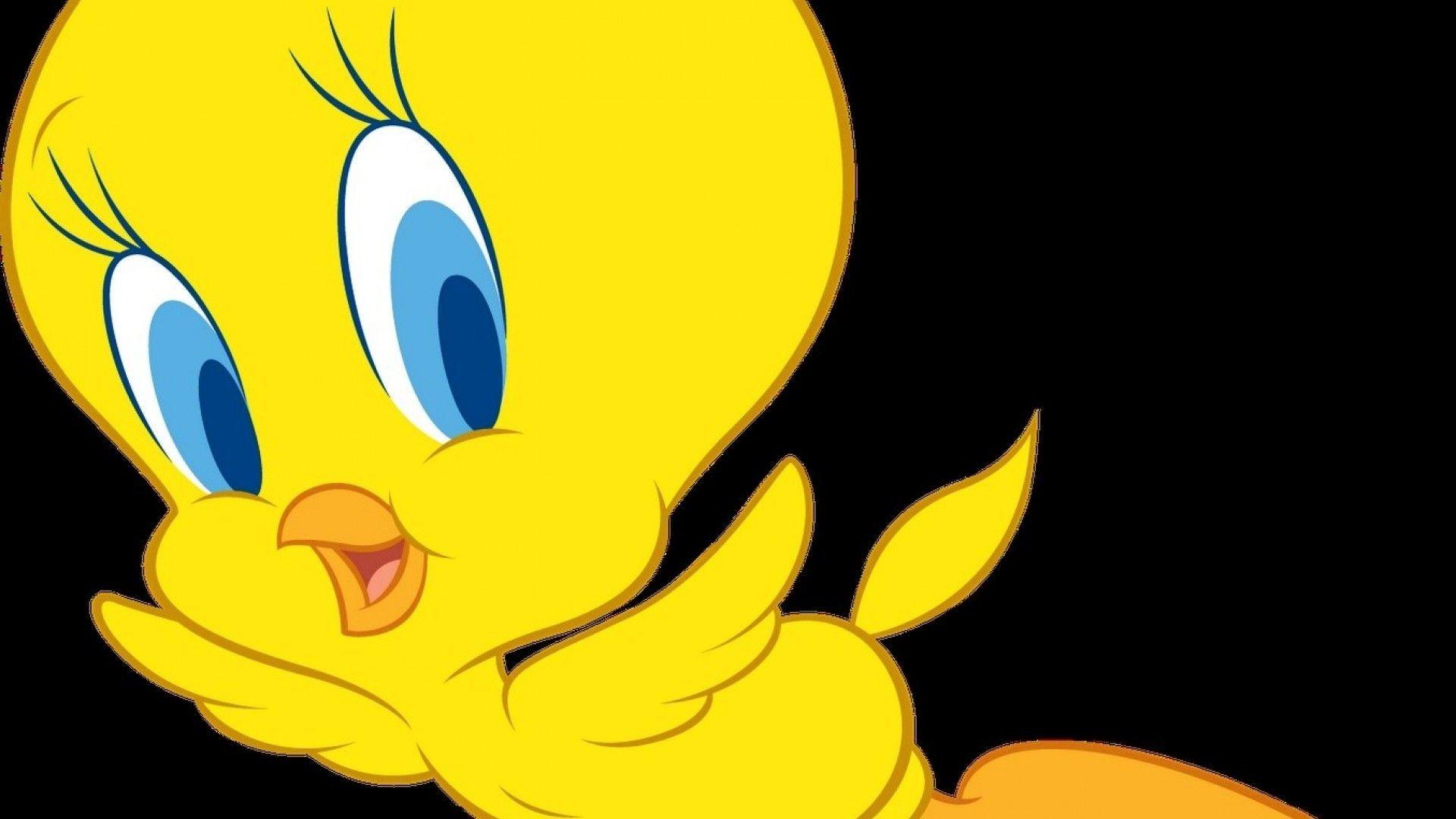 Tweety Wallpapers - Top Free Tweety Backgrounds - WallpaperAccess