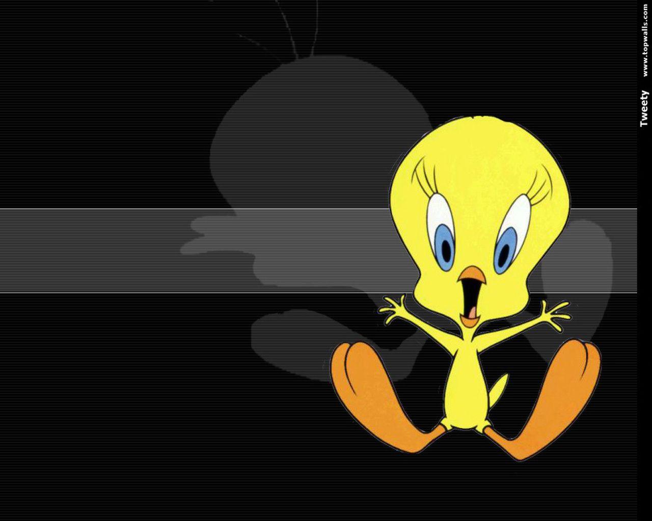Tweety Wallpapers - Top Free Tweety Backgrounds - WallpaperAccess