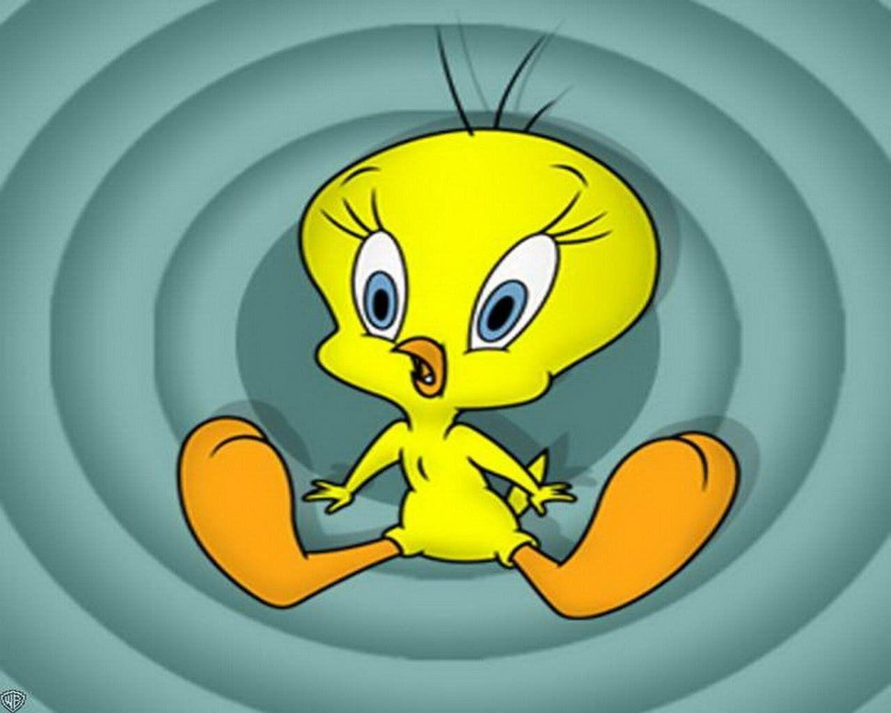 Tweety Wallpapers - Top Free Tweety Backgrounds - WallpaperAccess