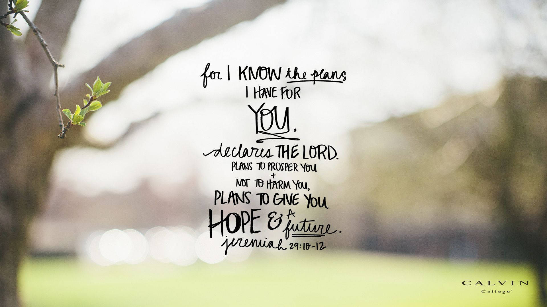 Bible Verse Landscape Wallpapers - Top Free Bible Verse Landscape ...