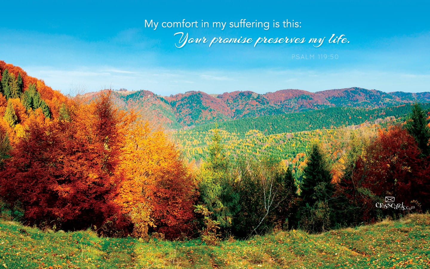Bible Verse Landscape Wallpapers - Top Free Bible Verse Landscape Backgrounds - WallpaperAccess