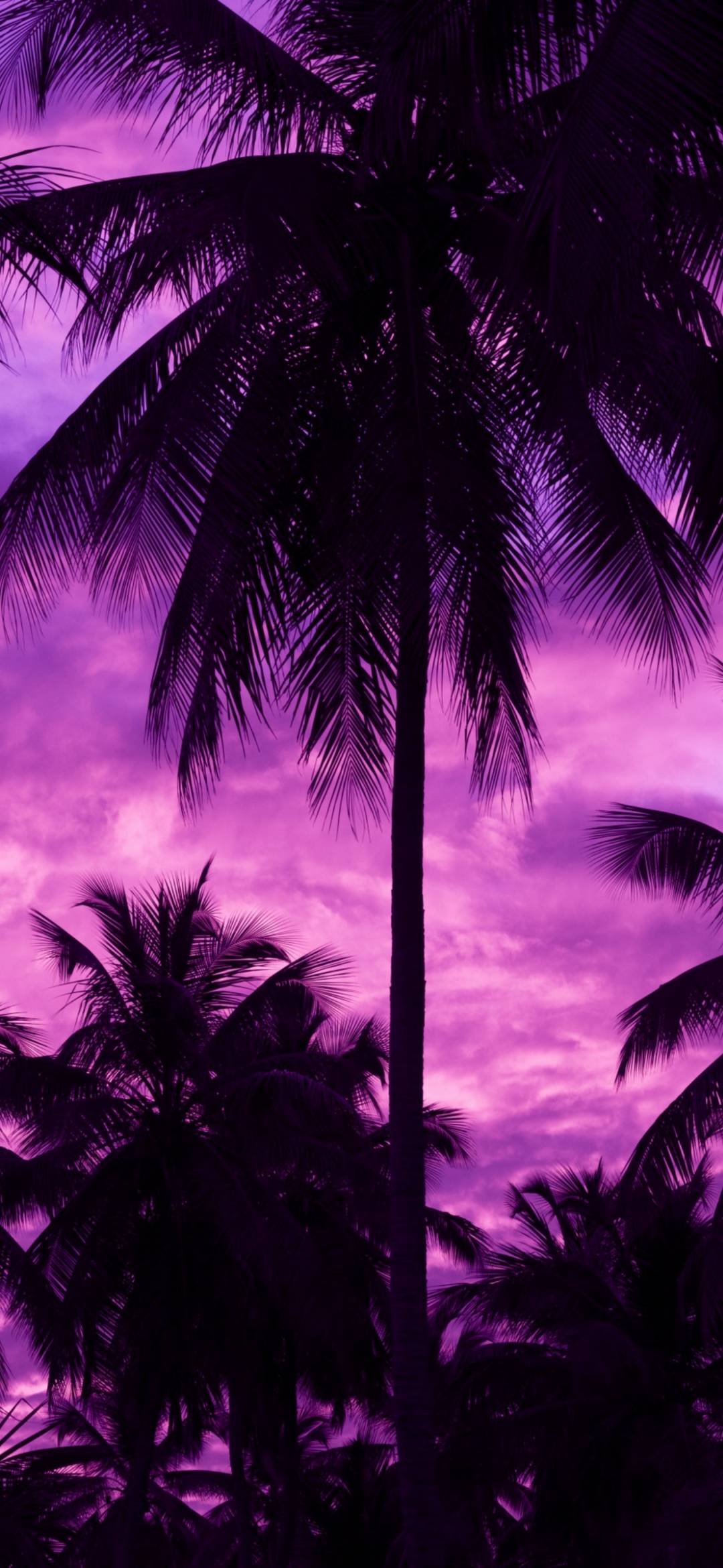 Purple Chill Wallpapers - Top Free Purple Chill Backgrounds ...