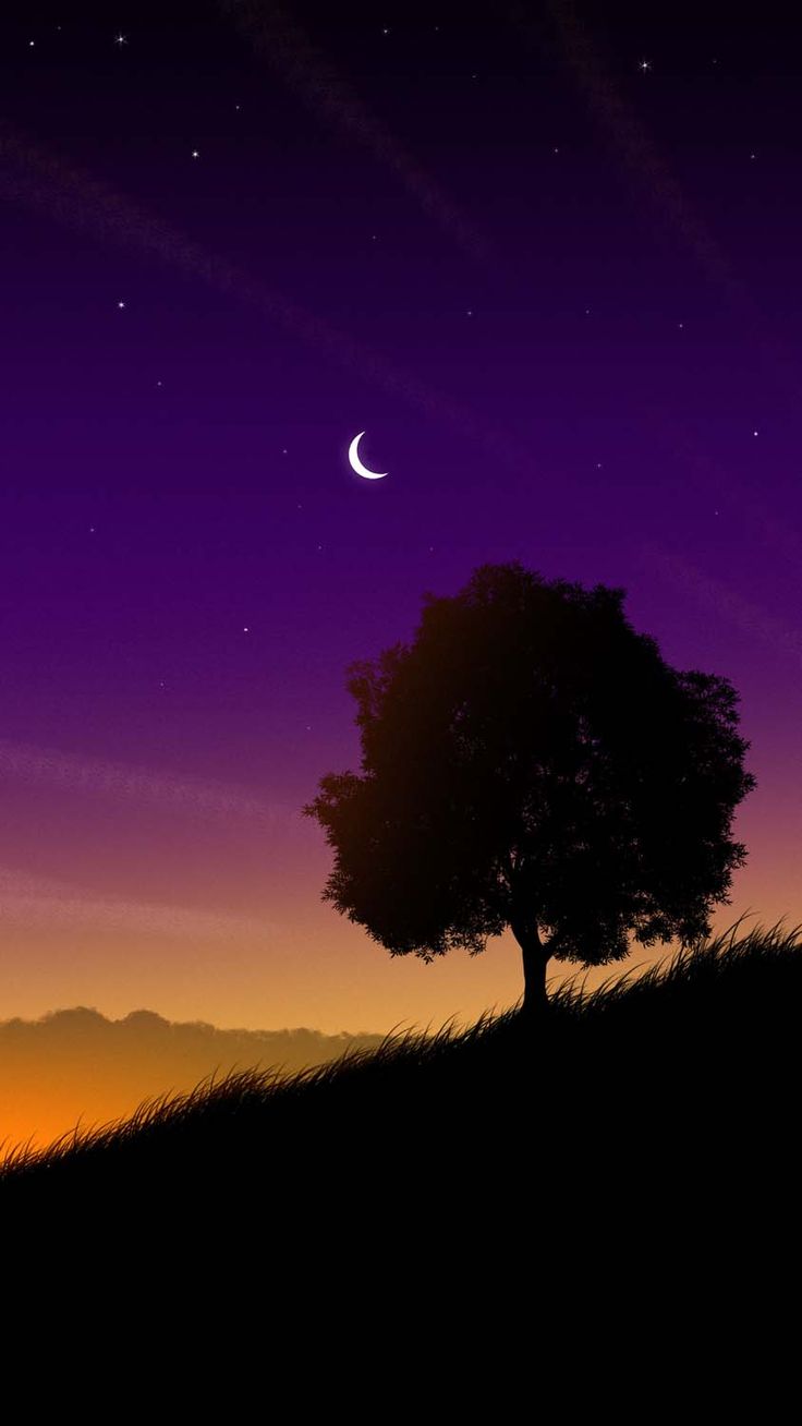 Purple Chill Wallpapers - Top Free Purple Chill Backgrounds ...