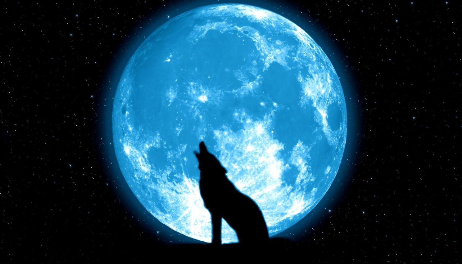 3D HD Wolf Wallpapers - Top Free 3D HD Wolf Backgrounds - WallpaperAccess