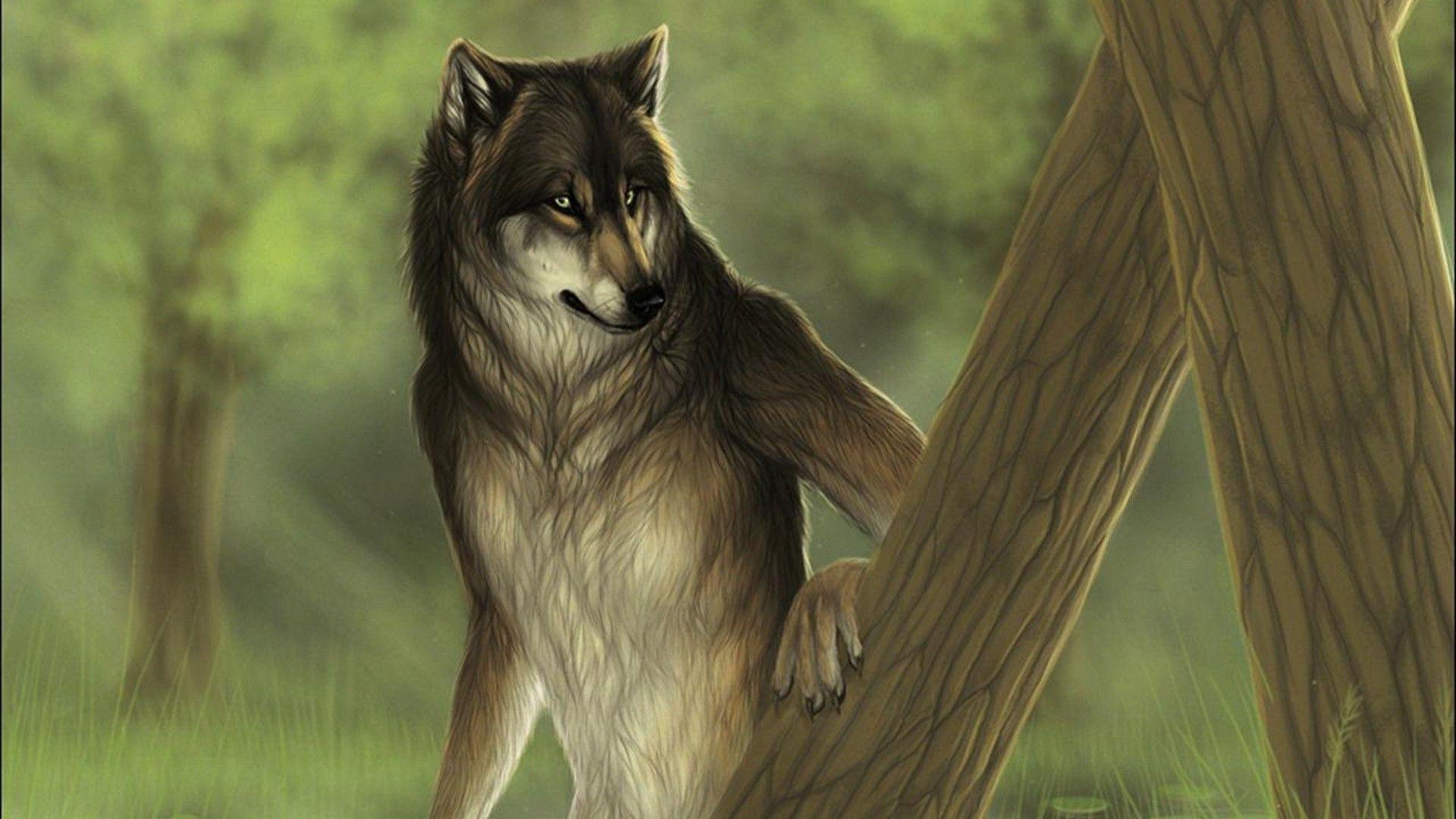 3D HD Wolf Wallpapers - Top Free 3D HD Wolf Backgrounds - WallpaperAccess