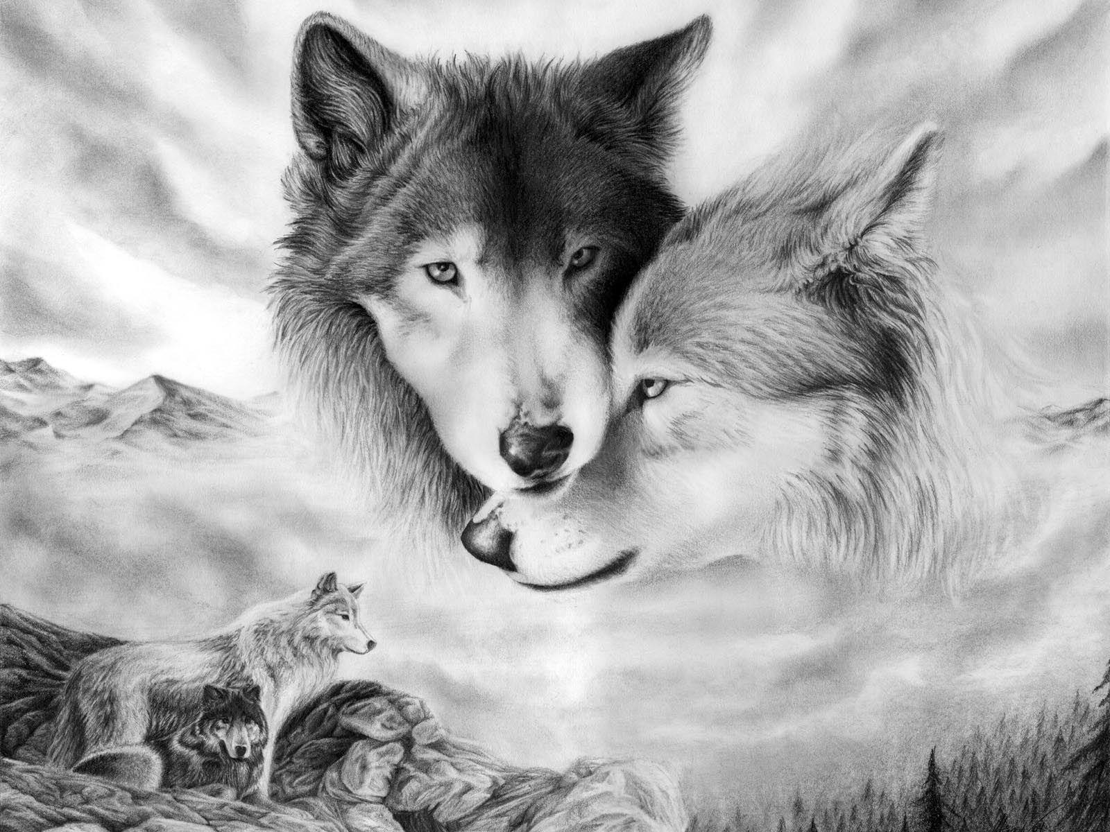 3D HD Wolf Wallpapers - Top Free 3D HD Wolf Backgrounds - WallpaperAccess