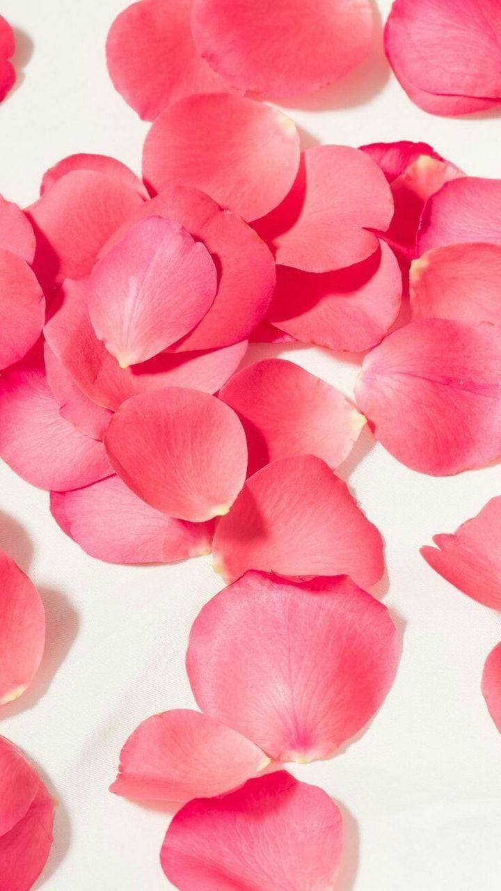 We Heart It Wallpapers - Top Free We Heart It Backgrounds - WallpaperAccess