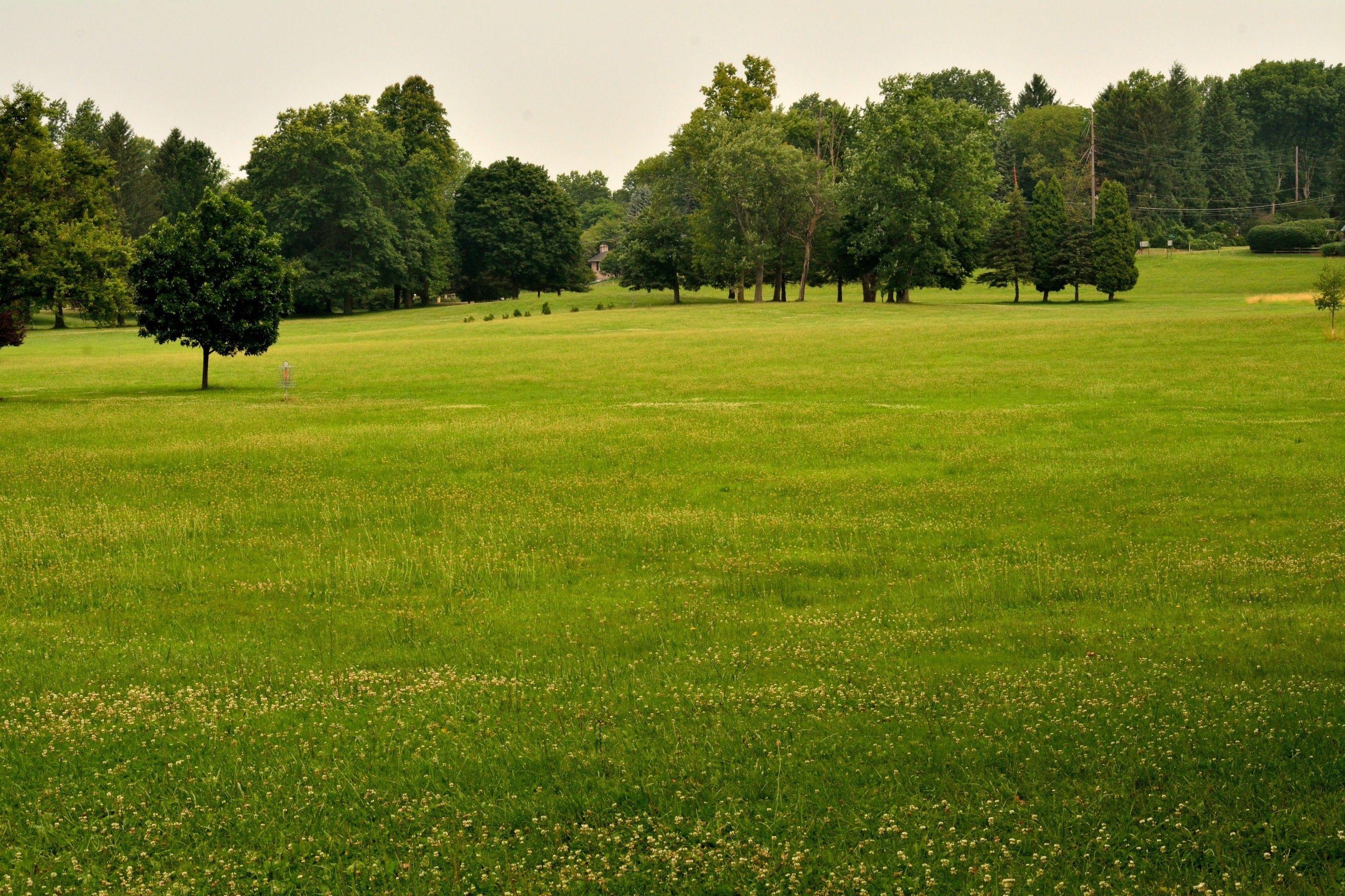 Open Field Wallpapers - Top Free Open Field Backgrounds - WallpaperAccess