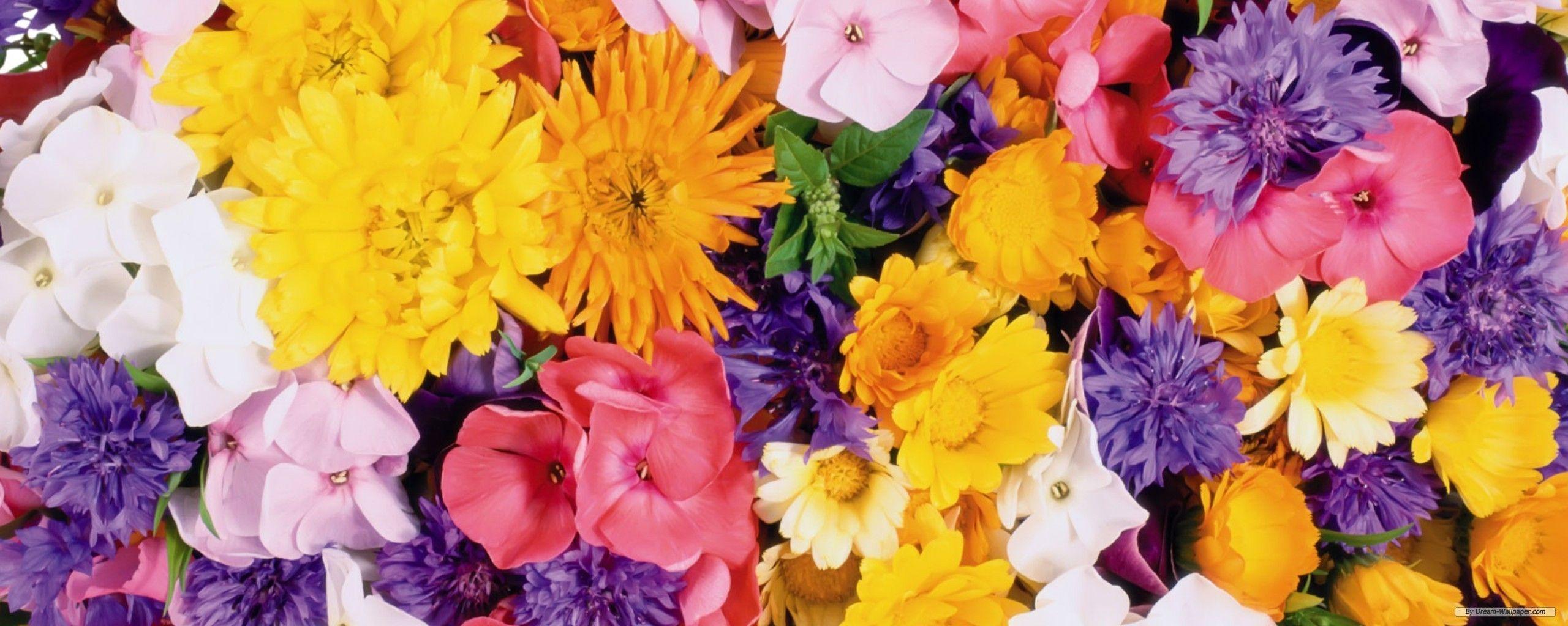 Flowers Dual Screen Wallpapers - Top Free Flowers Dual Screen ...