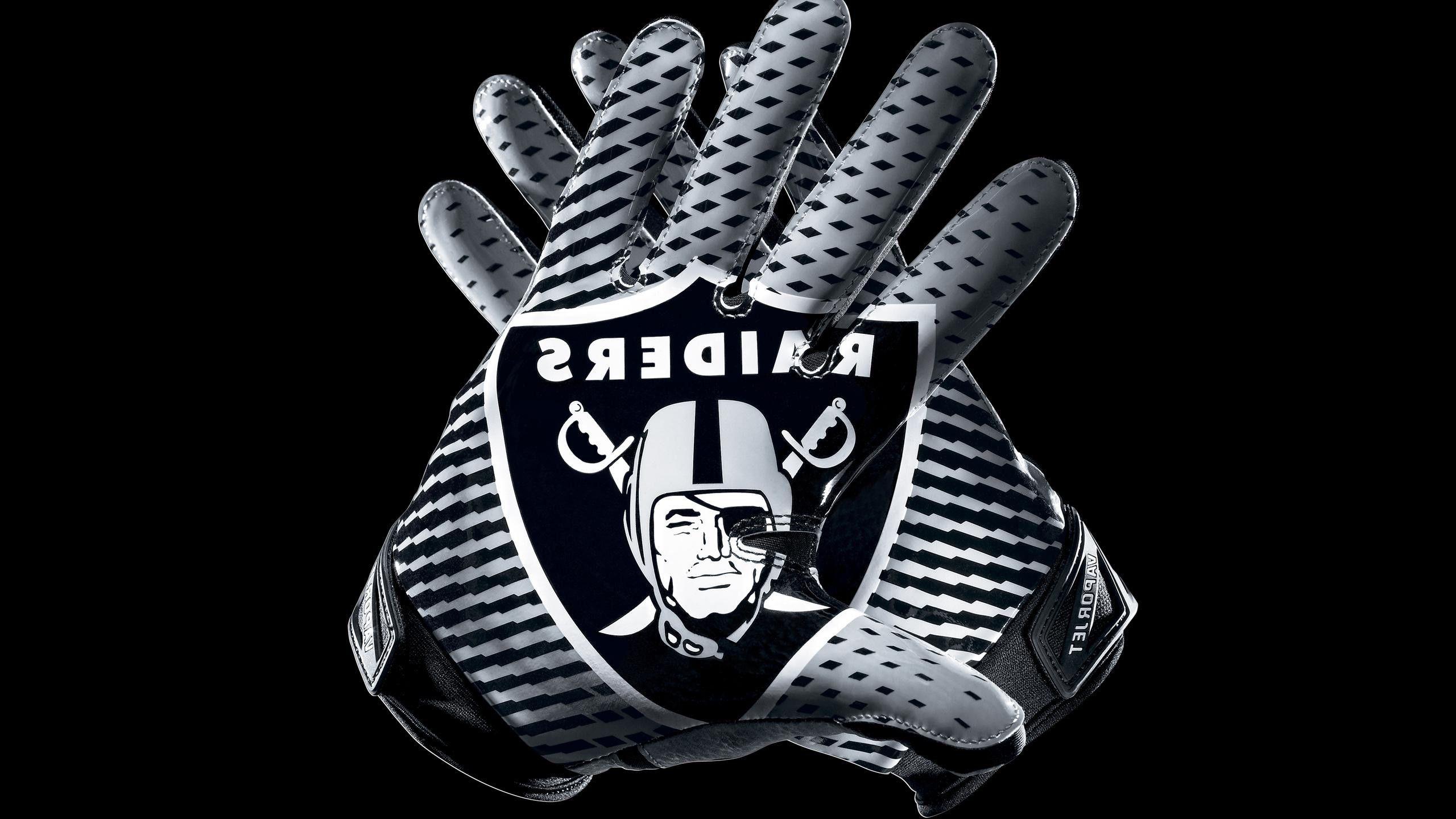 Raiders HD Wallpapers - Top Free Raiders HD Backgrounds - WallpaperAccess