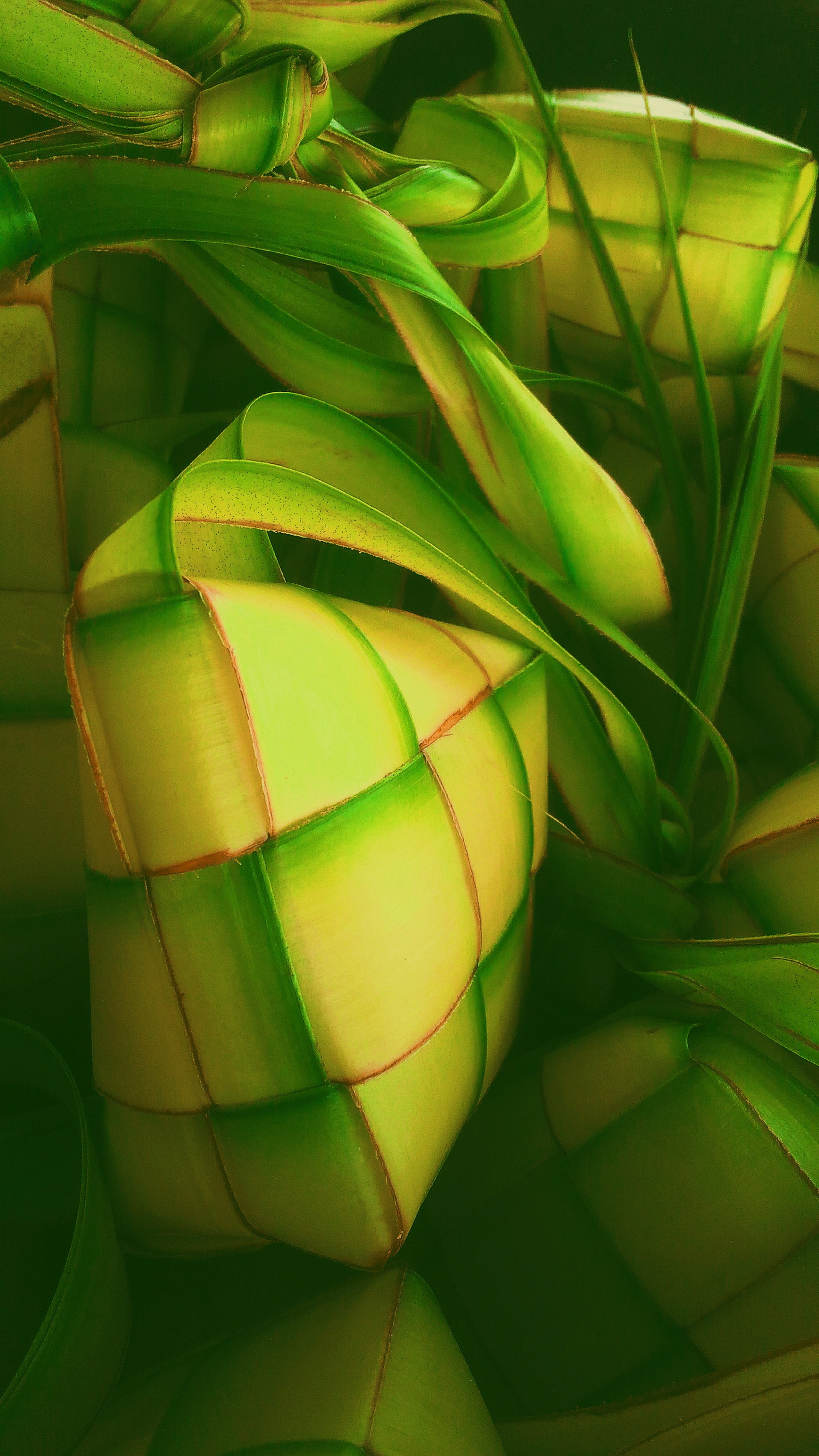 Ketupat Wallpapers - Top Free Ketupat Backgrounds - WallpaperAccess