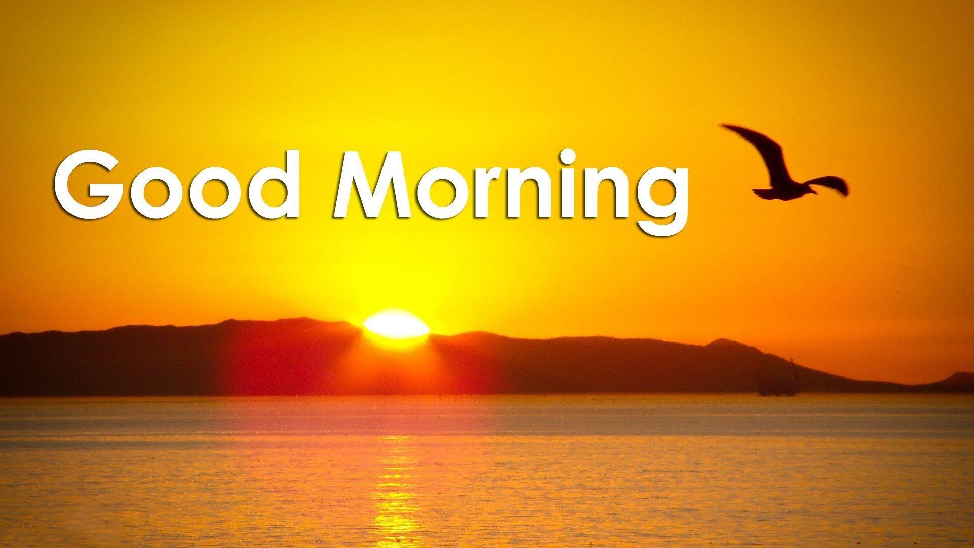 Morning Wallpapers - Top Free Morning Backgrounds - WallpaperAccess