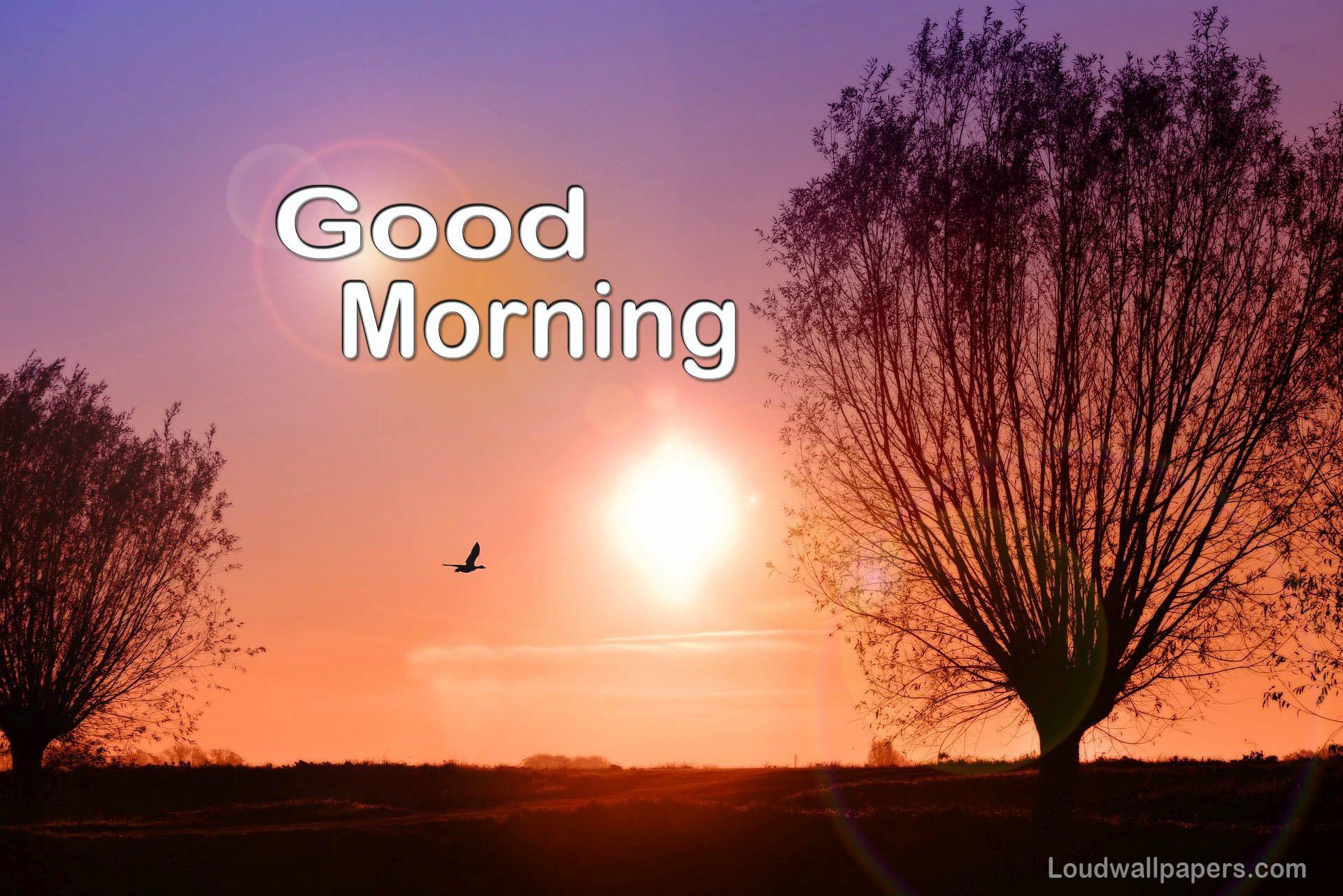 Morning Wallpapers - Top Free Morning Backgrounds - WallpaperAccess