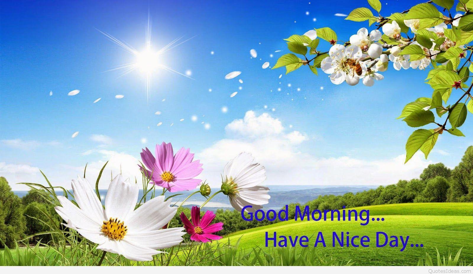 Good Morning Beautiful Wallpapers - Top Free Good Morning Beautiful ...