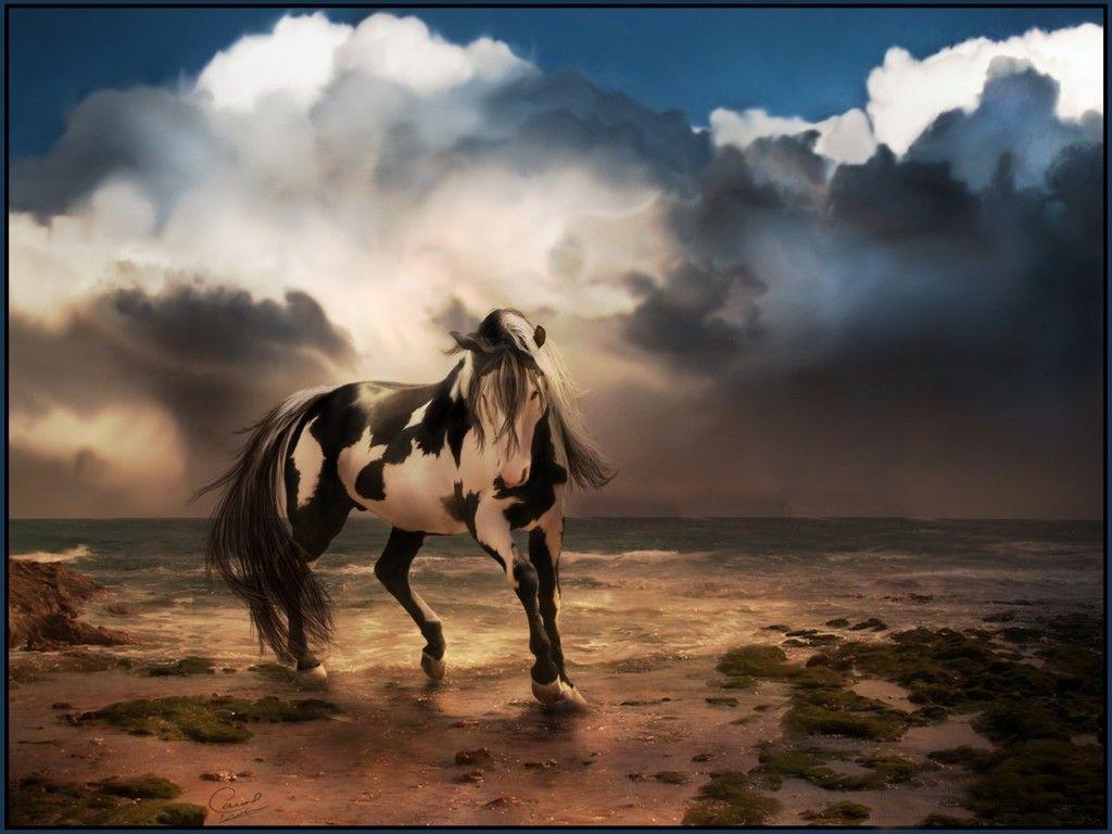 Wild Horse Wallpapers - Top Free Wild Horse Backgrounds - WallpaperAccess