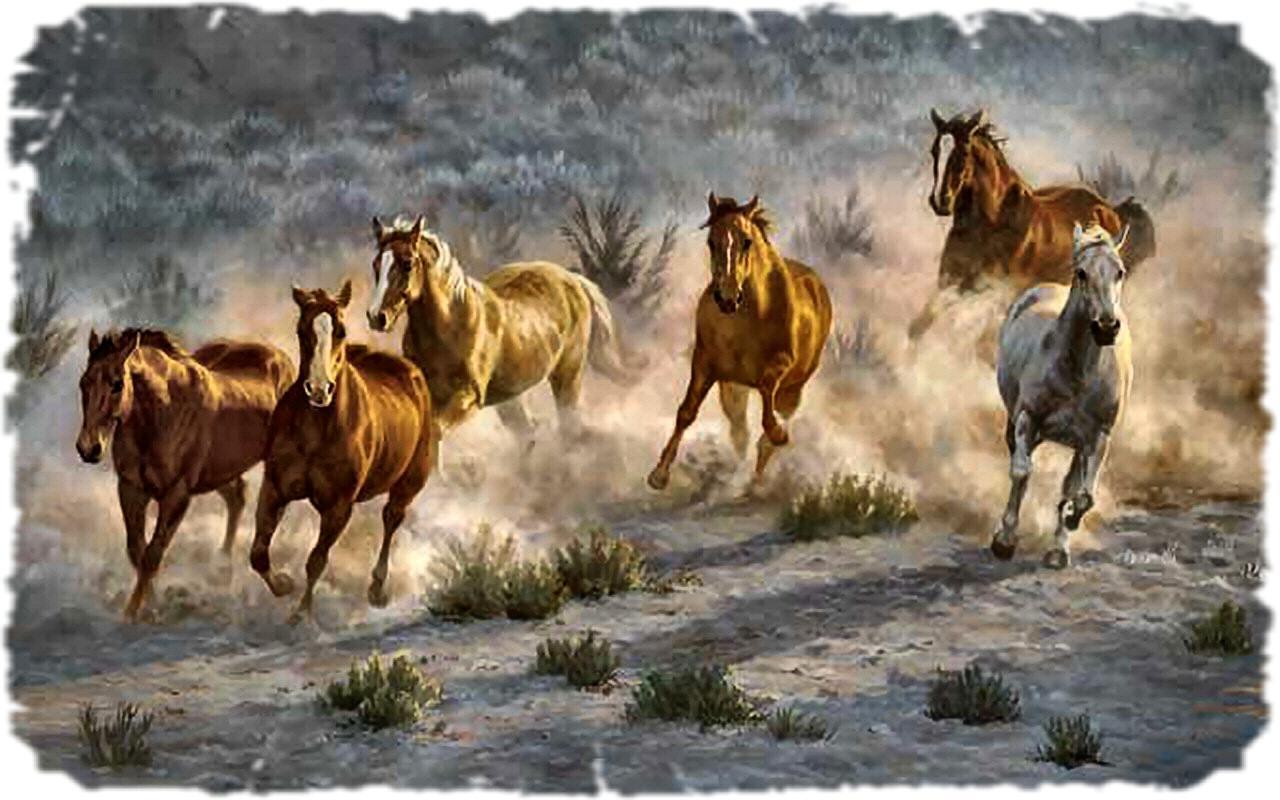 Wild Horses Desktop Wallpapers - Top Free Wild Horses Desktop ...